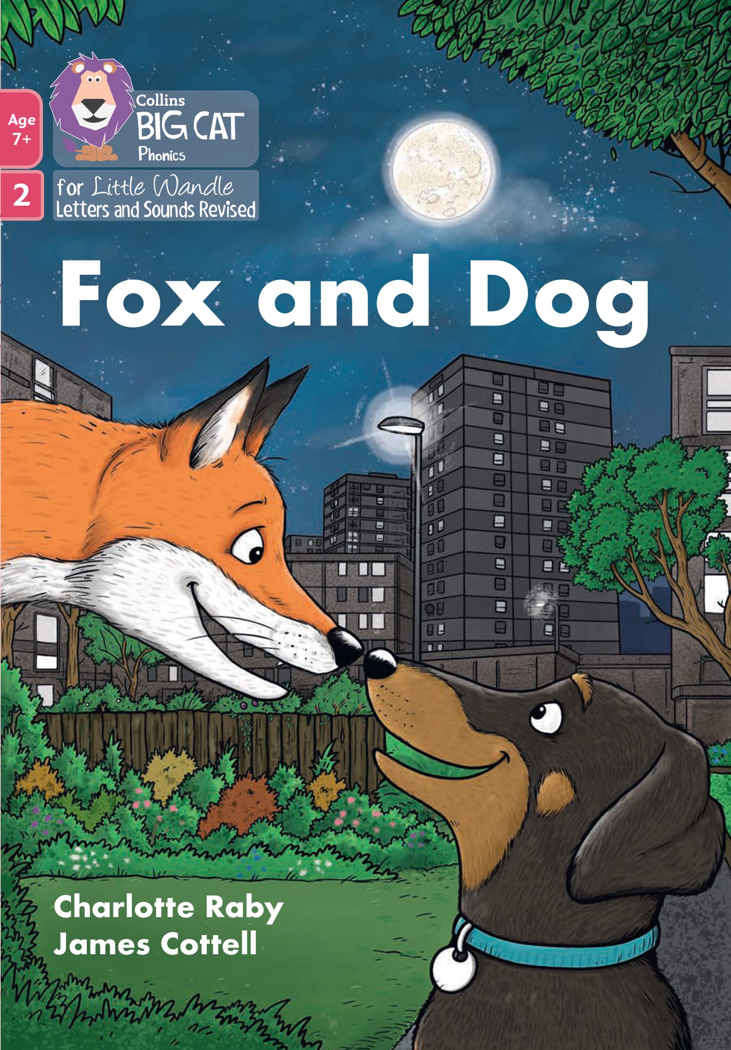 Fox and Dog: Phase 2 Set 5 Blending practice (Big Cat Phonics for ...
