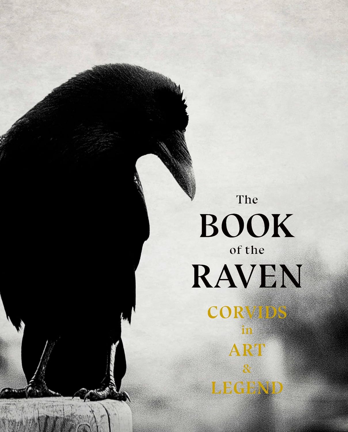 The Book of Raven: Corvids in Art and Legend: Hyland, Angus, Roberts ...