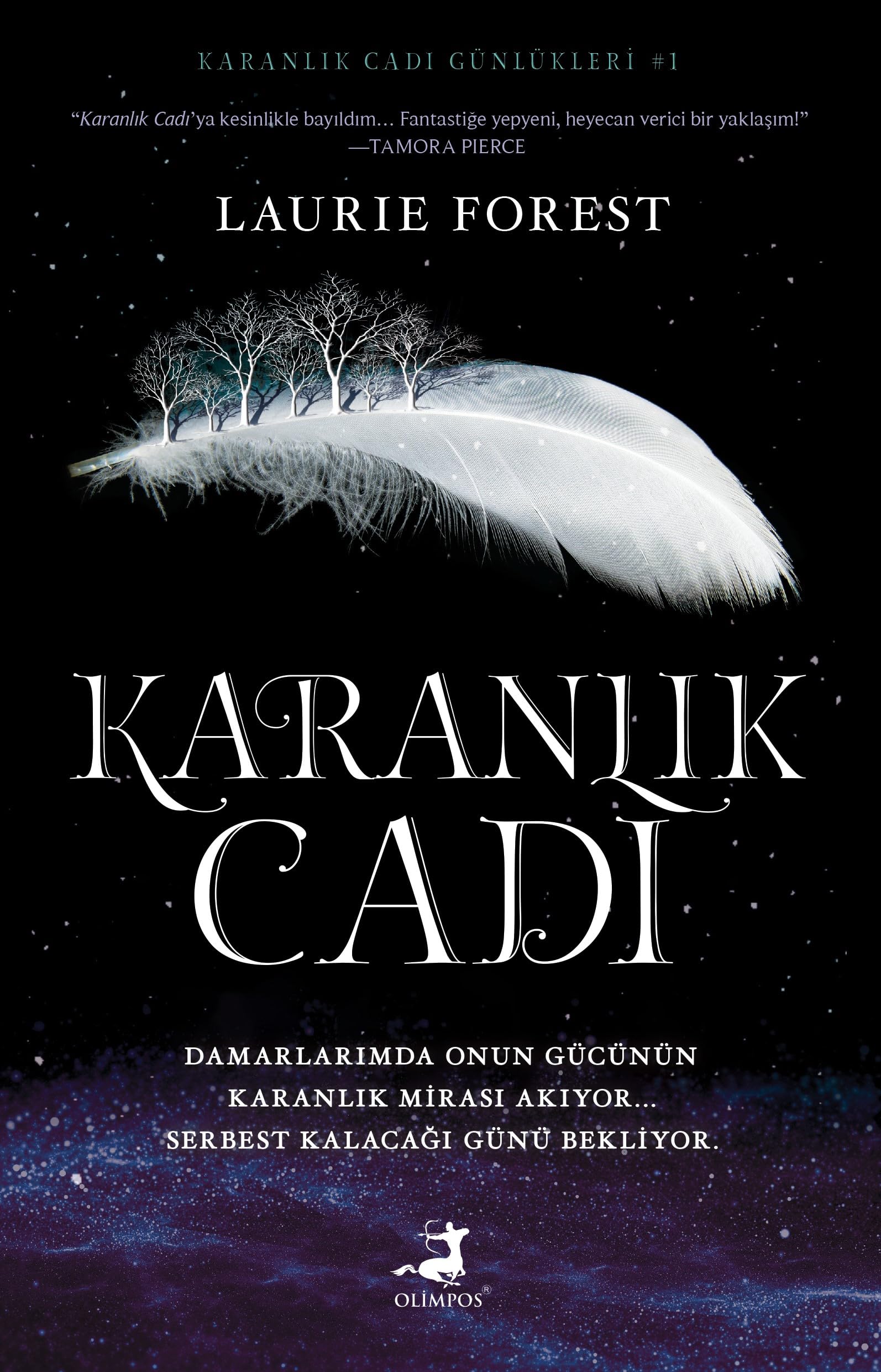 Karanlık Cadı : LAURIE FOREST: Amazon.com.tr: Kitap