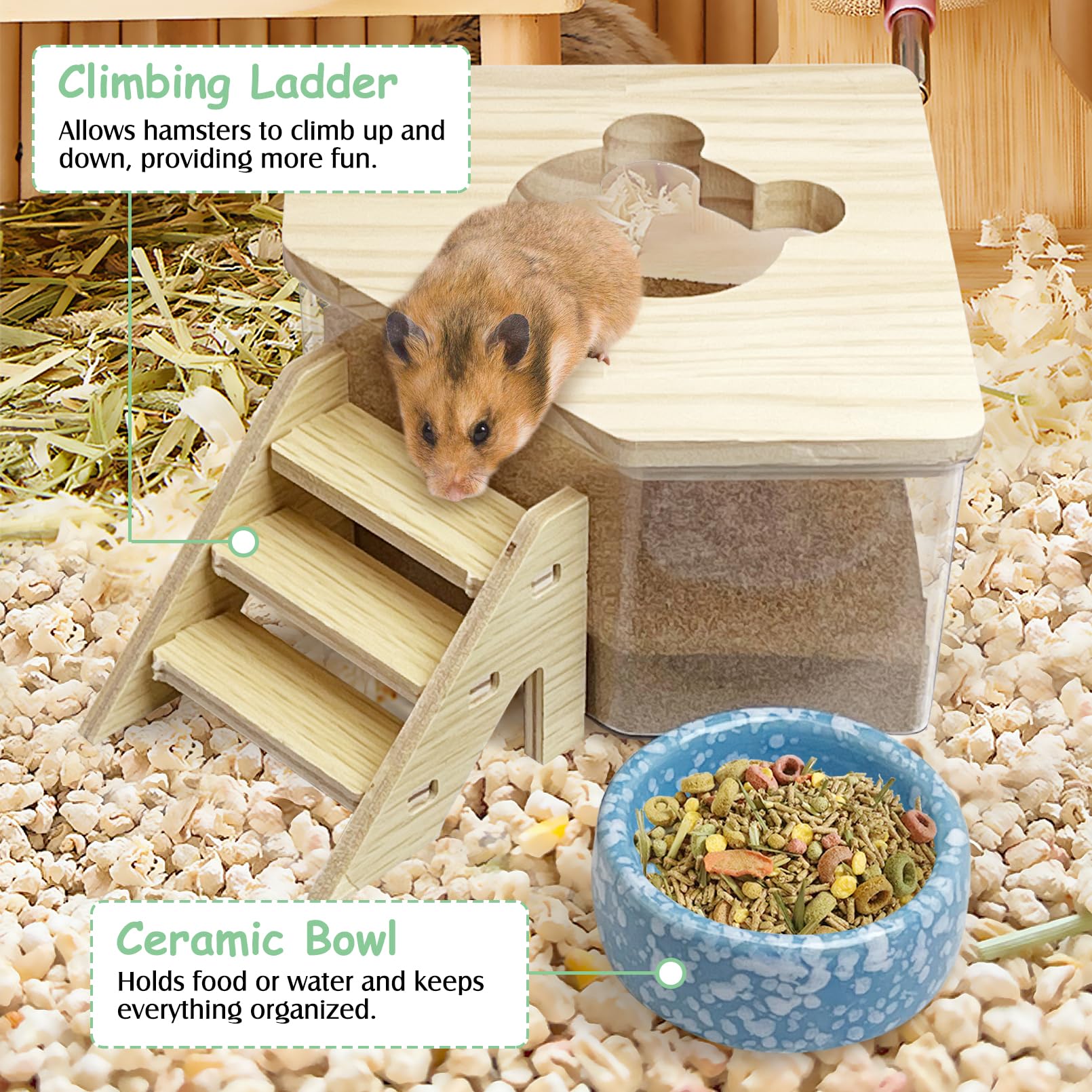 Snapklik.com : Kathson Hamster Sand Bath Box Transparent Acrylic Small ...