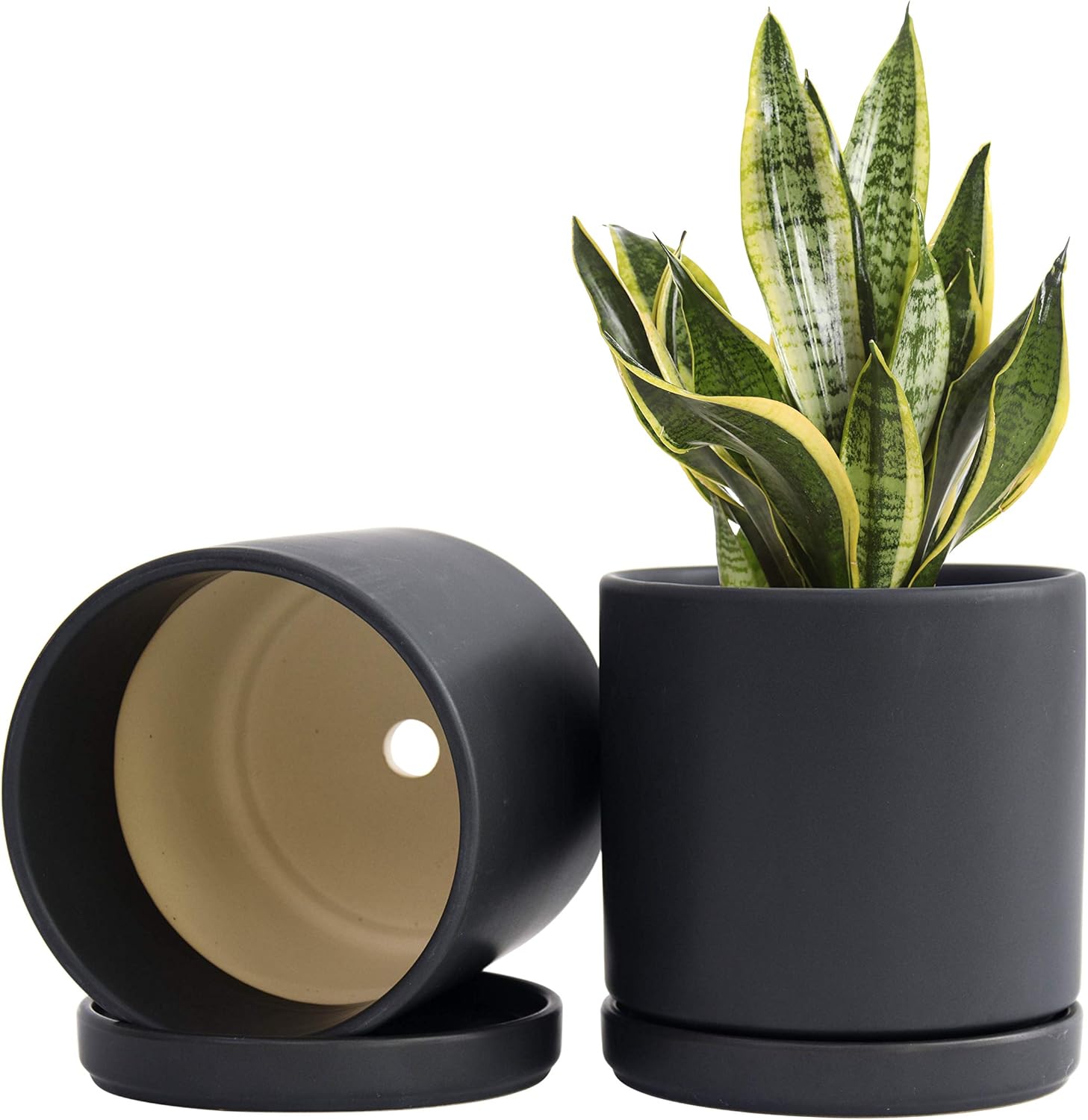 Amazon.com : Set of 2 Plants Pot, 6 Inch Ceramic Planter Pot for Plants ...