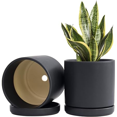 Amazon.com : Set of 2 Plants Pot, 6 Inch Ceramic Planter Pot for Plants ...