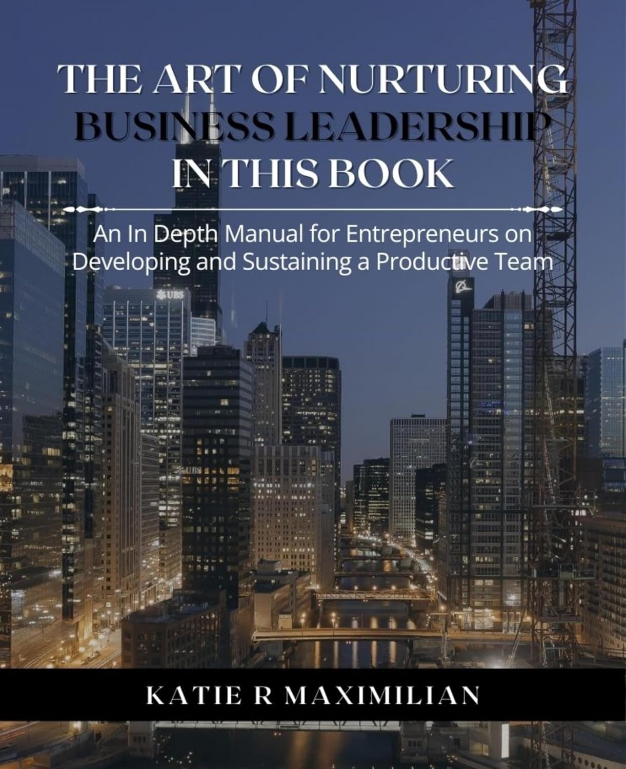 Amazon.com: The Art of Nurturing Business Leadership in this Book: An ...