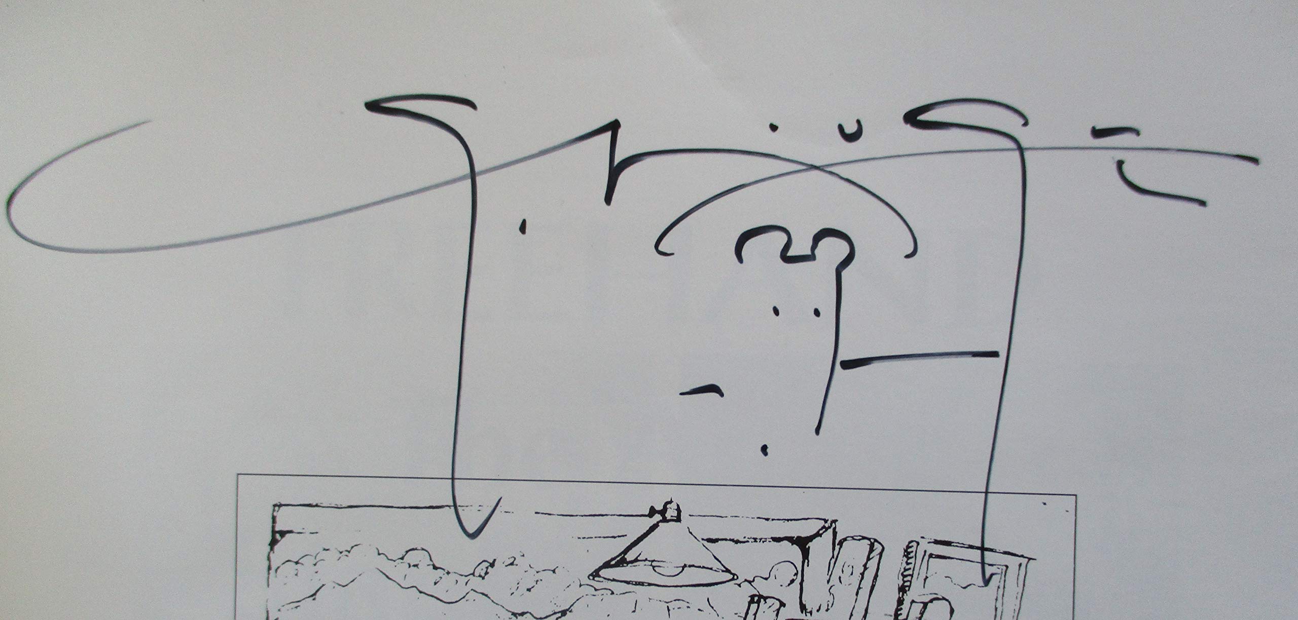 Freehand: The Art of Stanley Mouse: Stanley Mouse, Joel Selvin, Walter ...