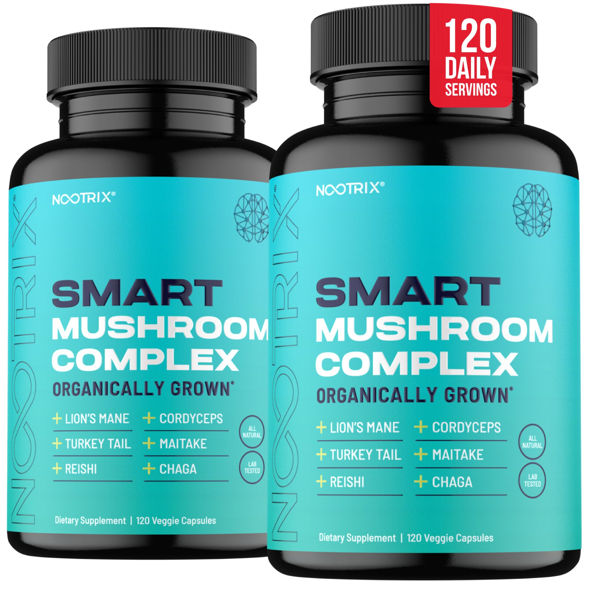 Snapklik.com : Smart Mushrooms Brain Supplement Nootropic For Memory ...