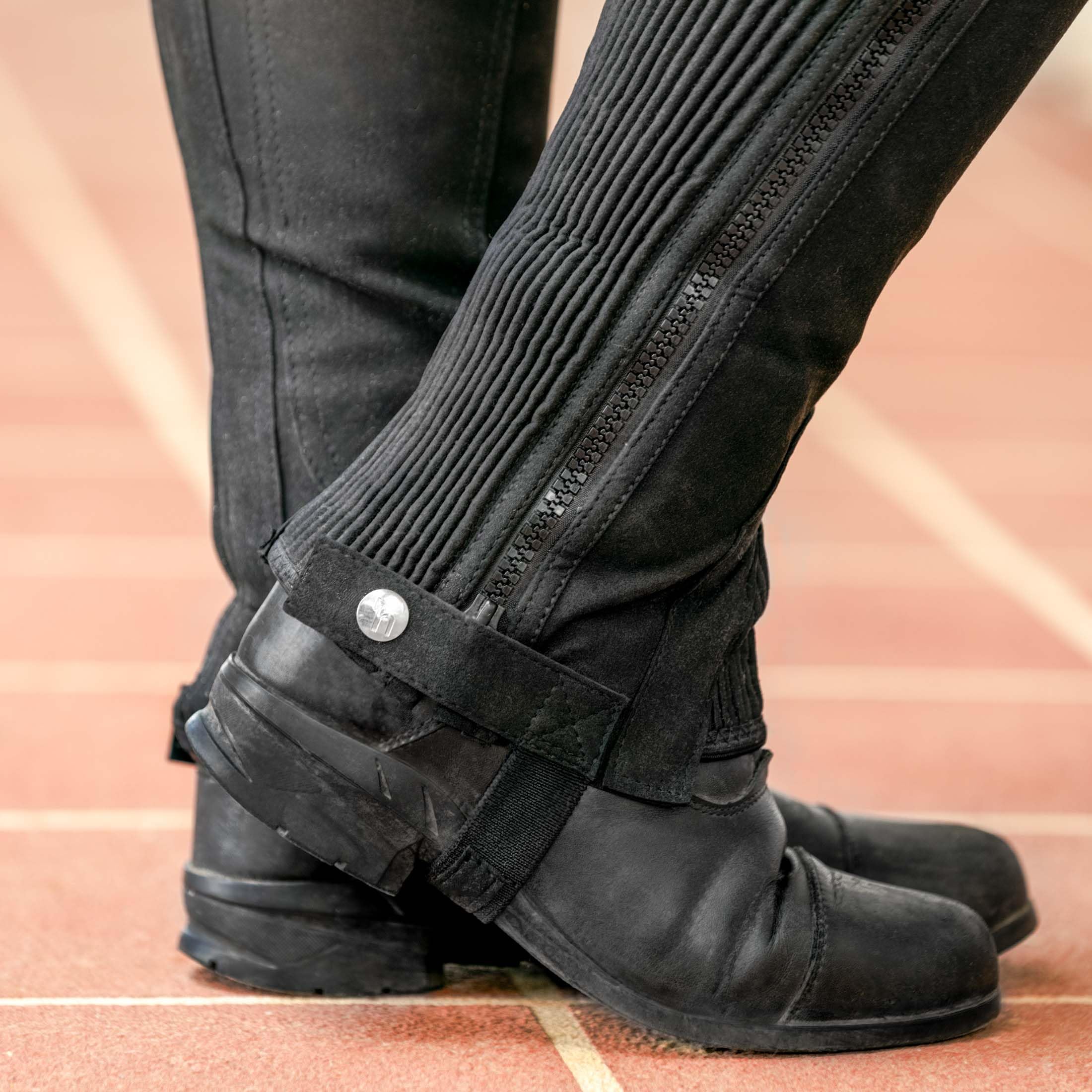 Snapklik.com : HORZE Amara Adult Equestrian Half Chaps Synthetic ...