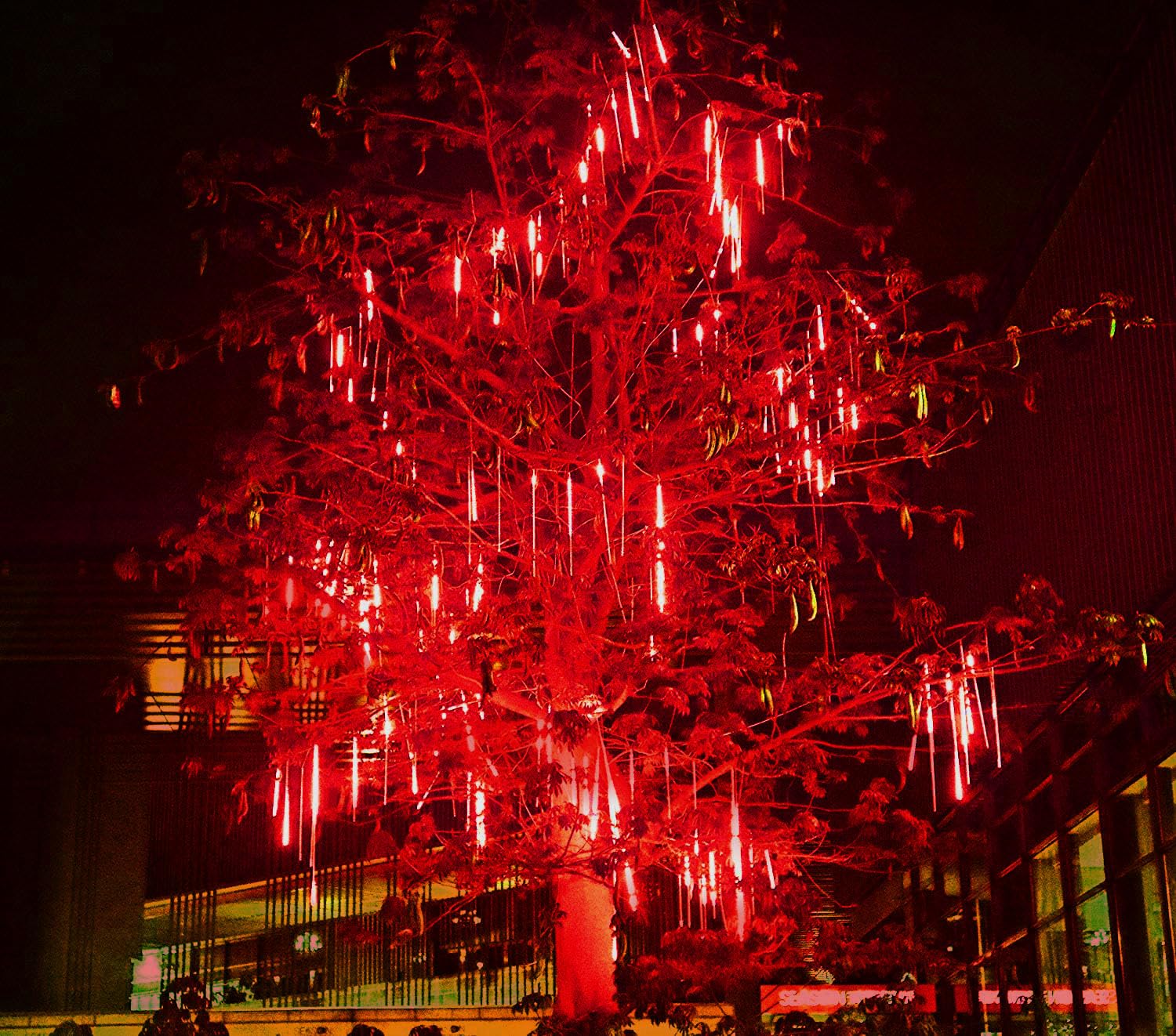 Snapklik.com : Roytong Christmas Red Meteor Shower Lights Outdoor - 12 ...