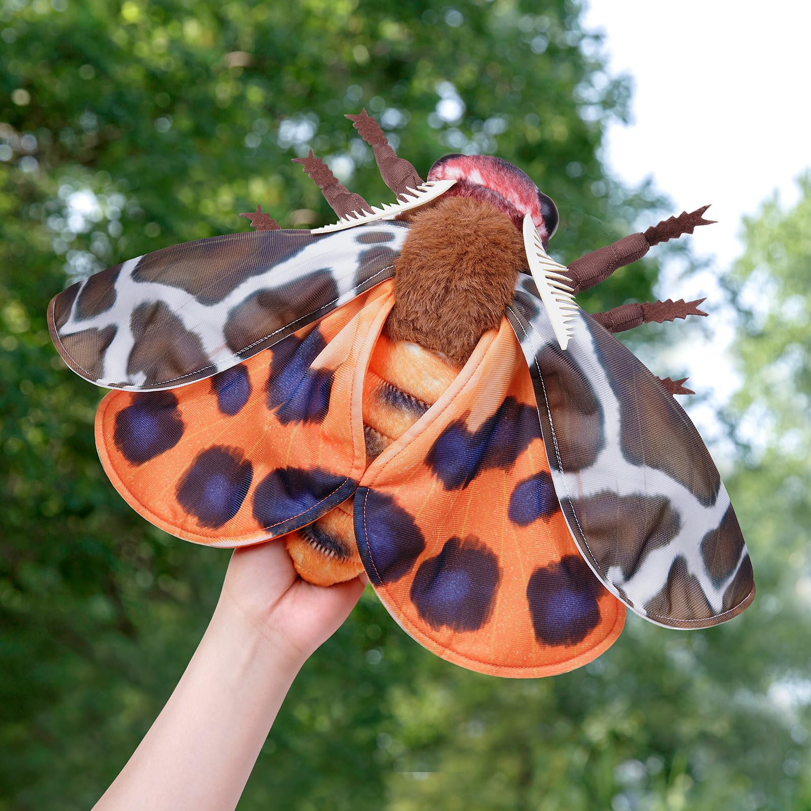 Eaglescott Tiger Moth