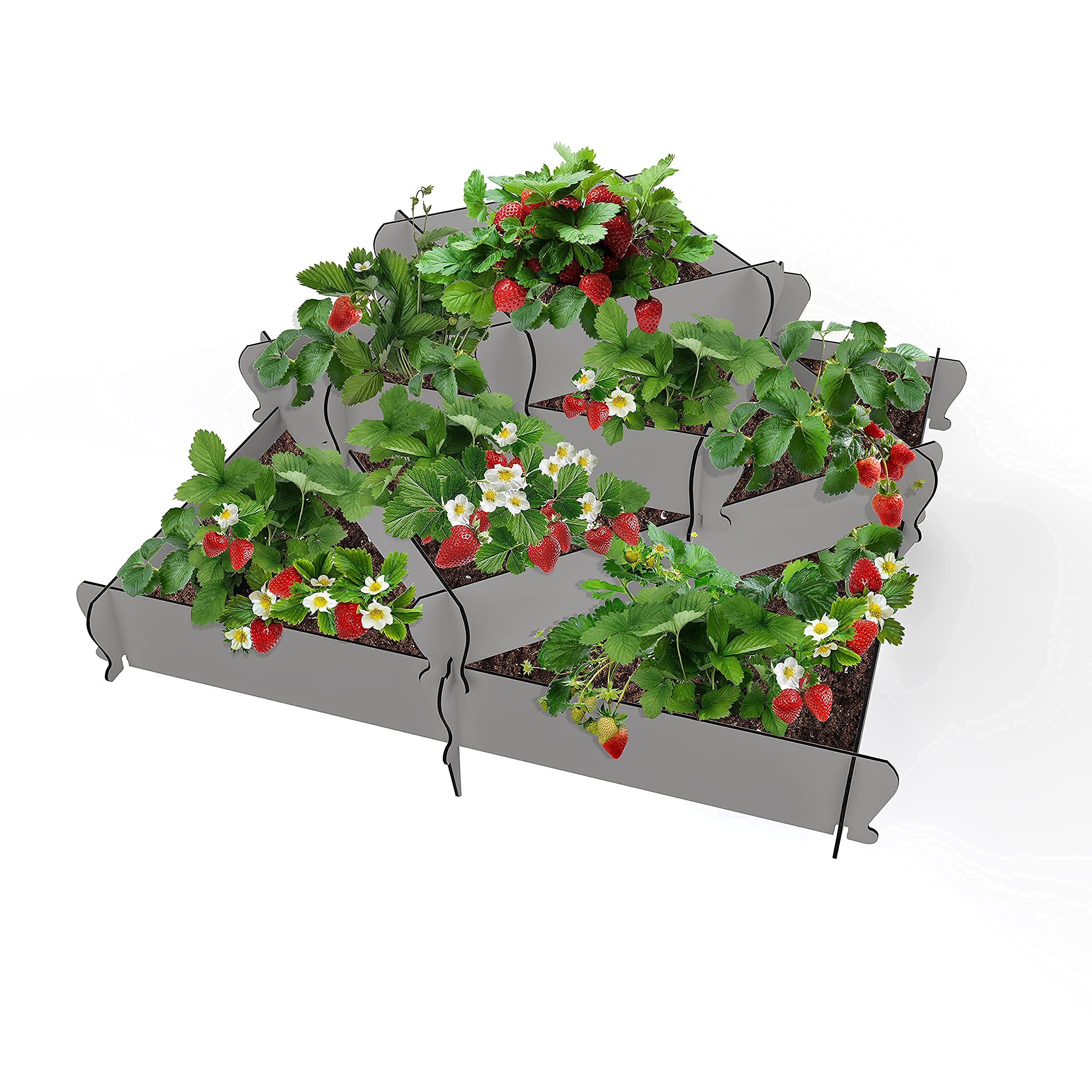 Pyramid Vegetable Garden Simple Garden Food Chain Or Food Web Activity