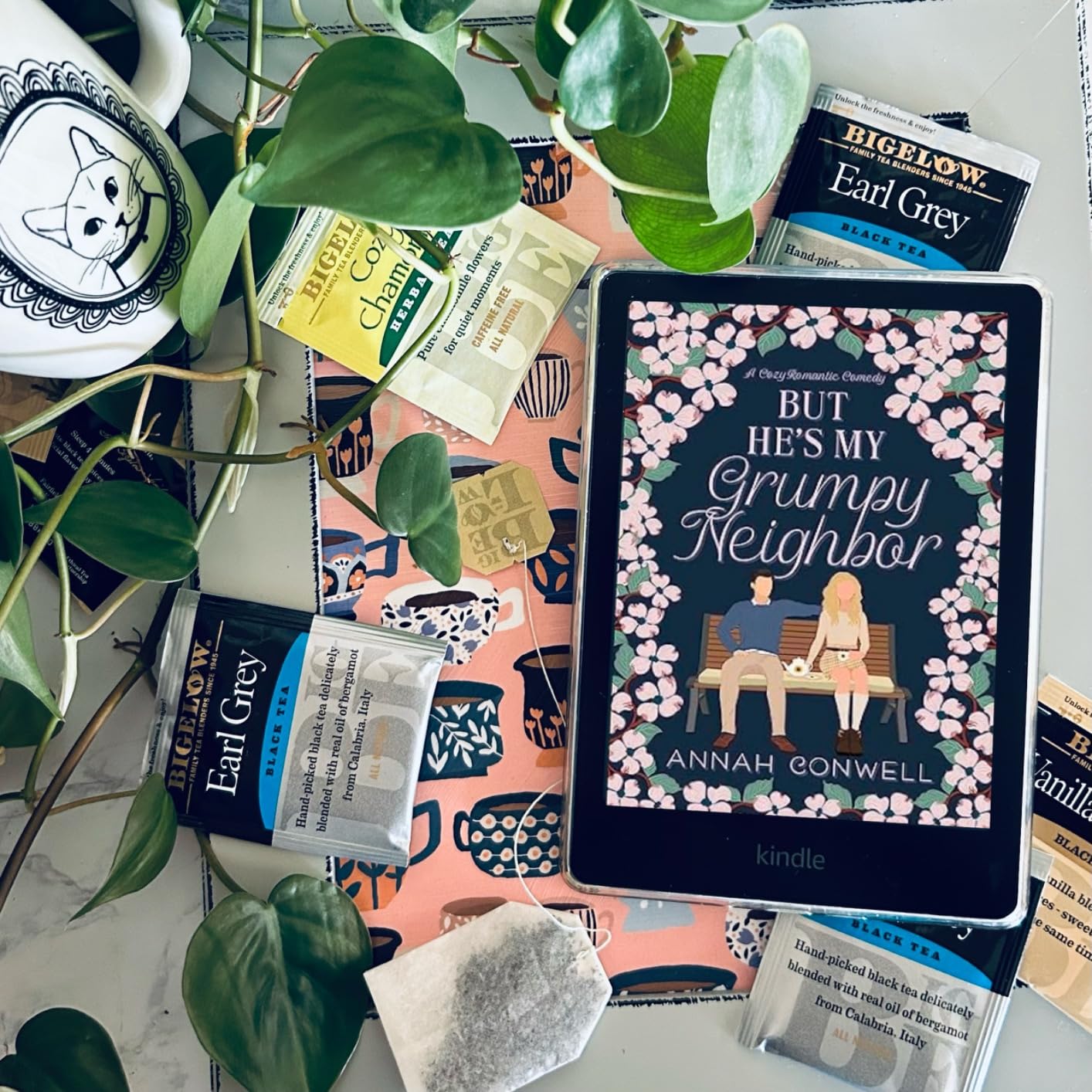 Amazon.com: But He's My Grumpy Neighbor: A Cozy Romantic Comedy (But He's a Carter Brother Book ...