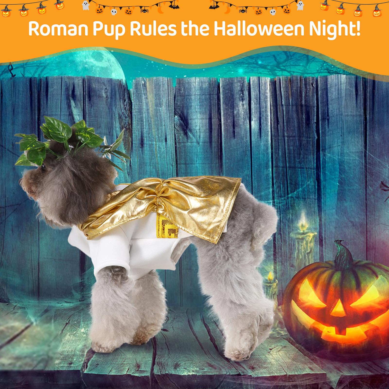 Snapklik.com : Roman Toga Dog Halloween Costumes, Pet Dog Costume ...