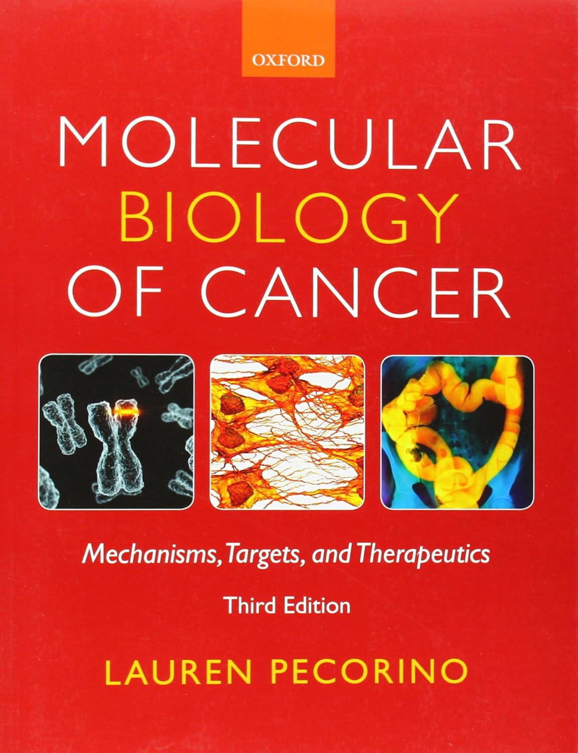 Molecular Biology of Cancer: Mechanisms, Targets, and Therapeutics ...