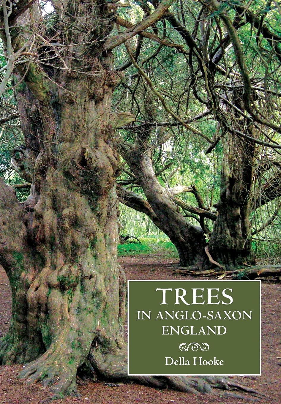 Trees in Anglo-Saxon England: Literature, Lore and Landscape (Anglo ...