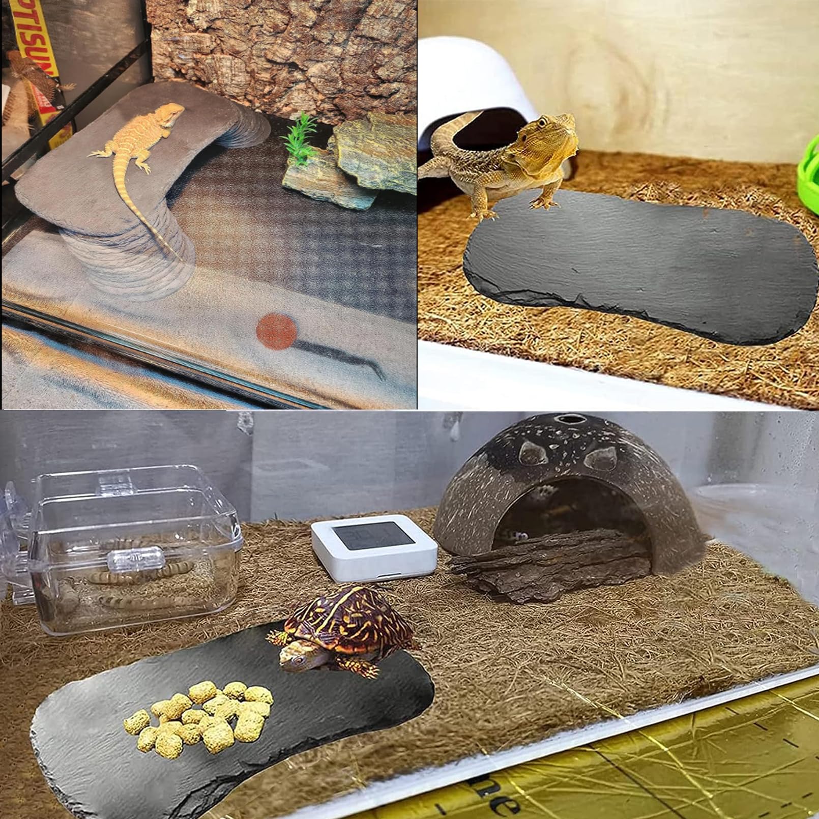 Snapklik.com : Reptile Basking Platform Turtle Rock Plate Feeding Food ...
