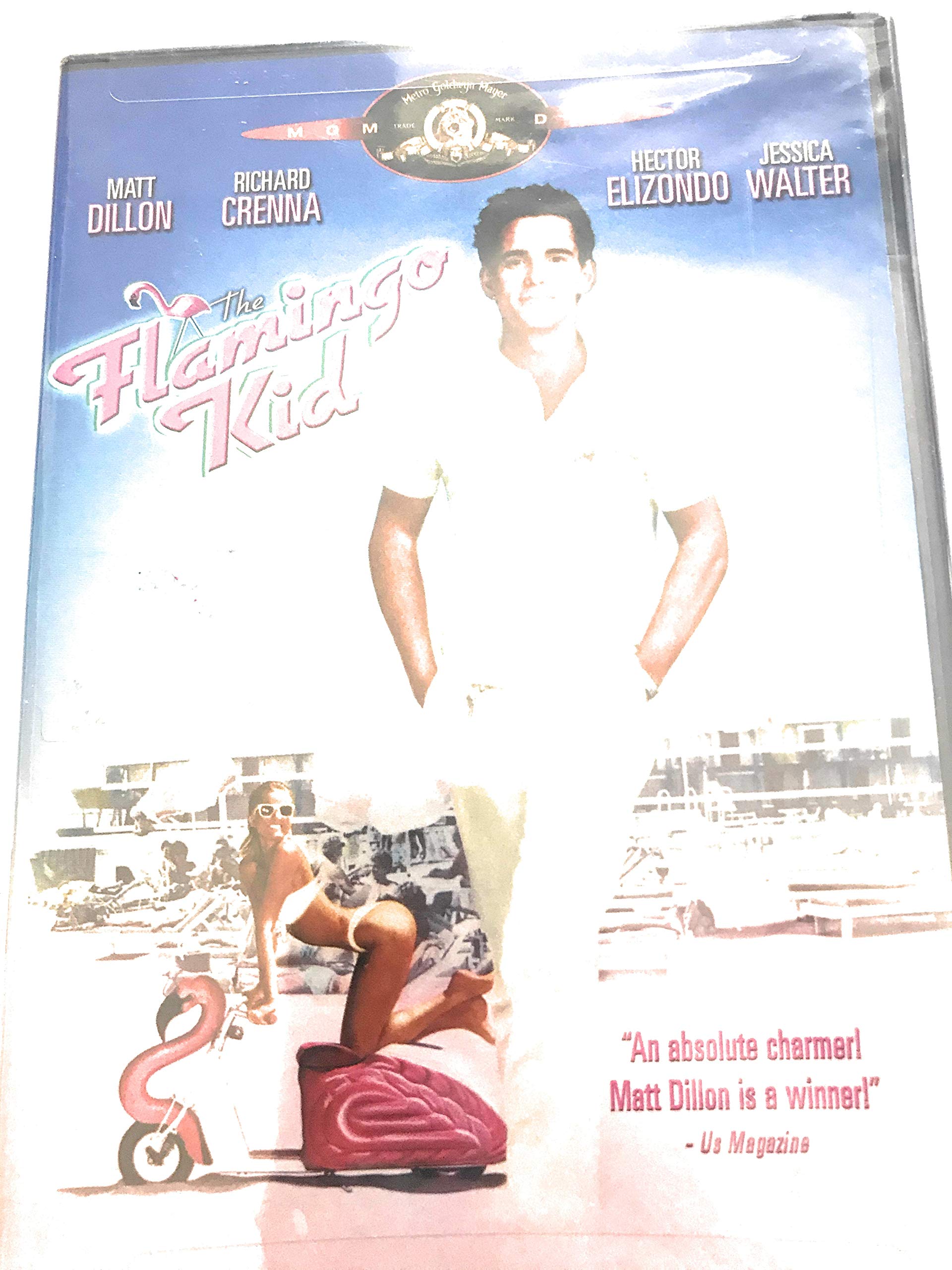 Amazon.com: The Flamingo Kid : Matt Dillon, Hector Elizondo, Molly ...