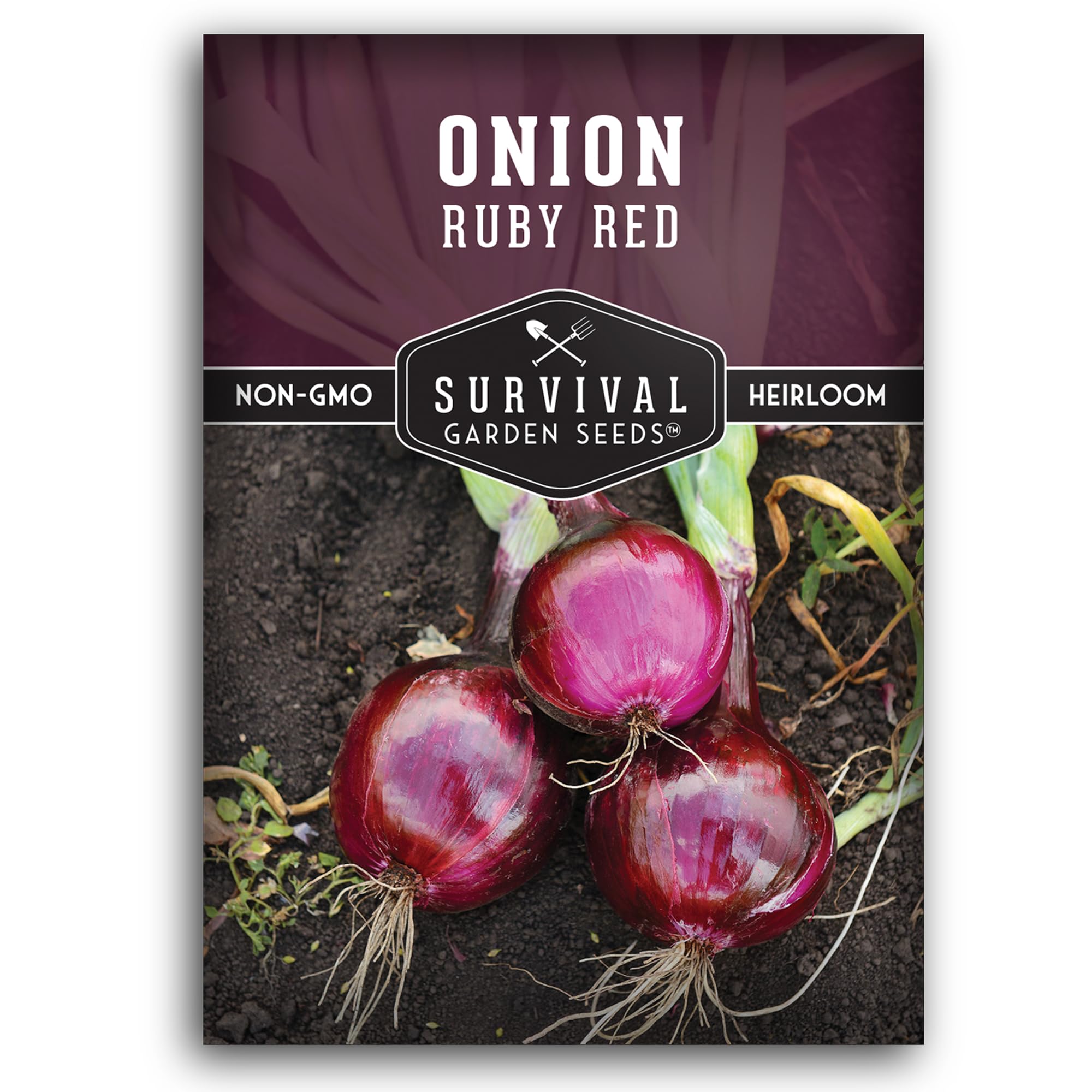 Amazon.com : Ruby Red Onion Seeds for Planting - 1 Packet with ...