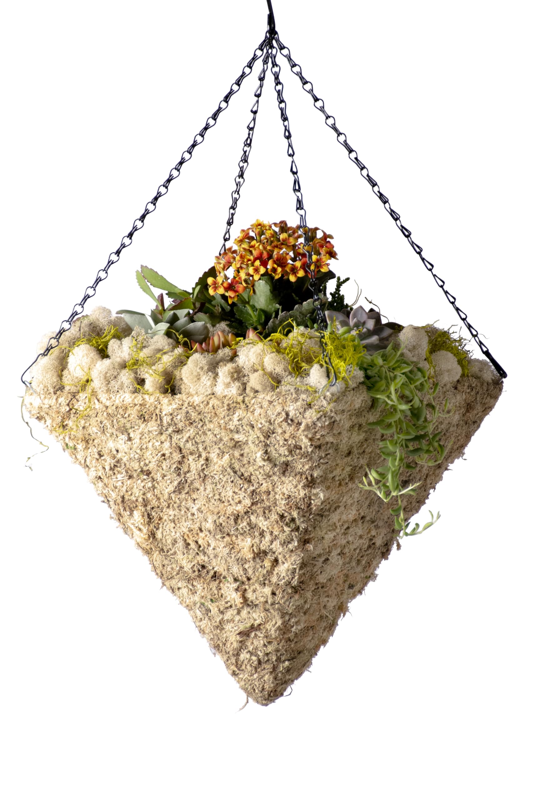 Moss Basket Container Gardening Designs Green Moss Covered Containers