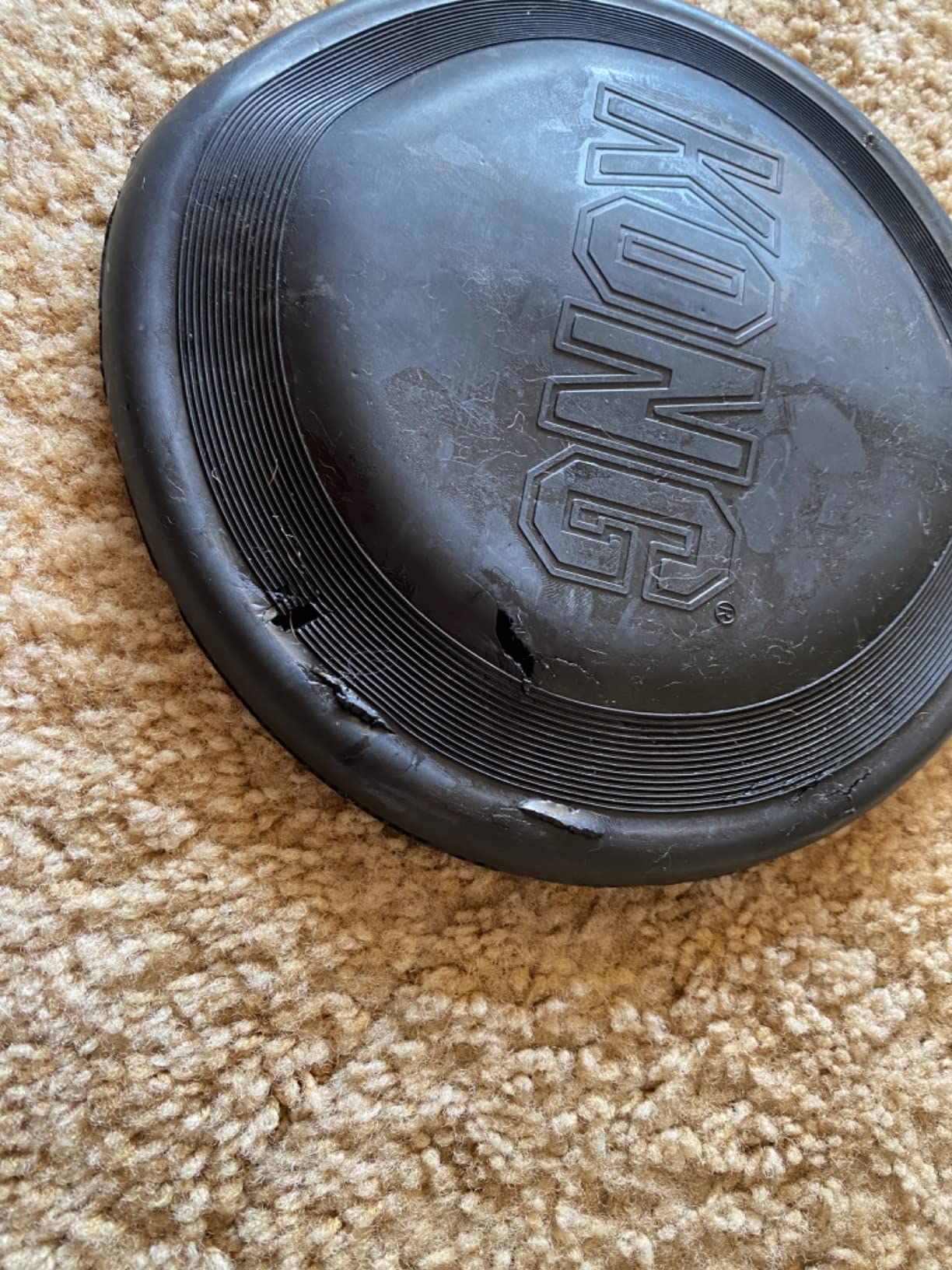 KONG - Extreme Flyer - Durable Rubber, Soft Flying Disc for Power ...