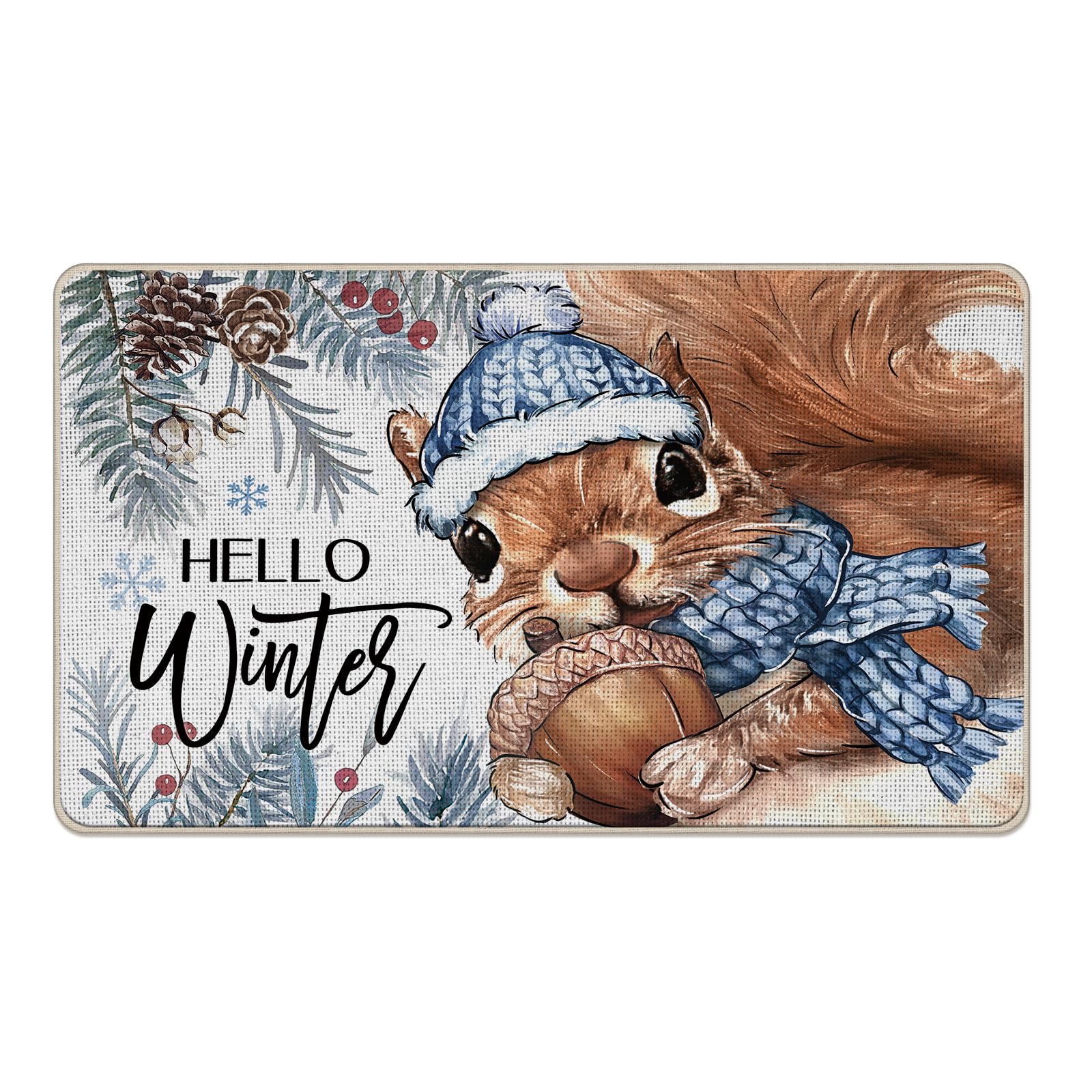 Amazon.com: Tailus Hello Winter Squirrel Decorative Front Door Mat ...
