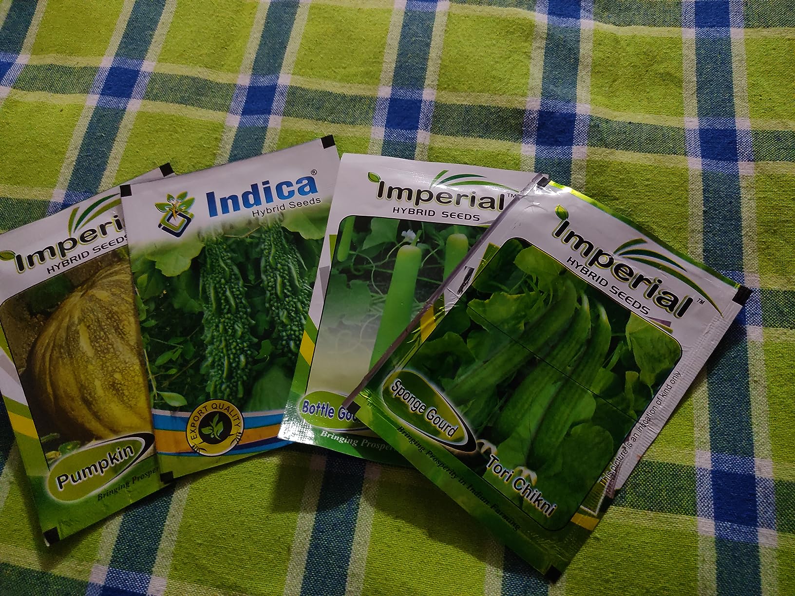 Combo Organic Seeds, Pack of 4 Vegetables, Green Pumpkin (Kaddu ...