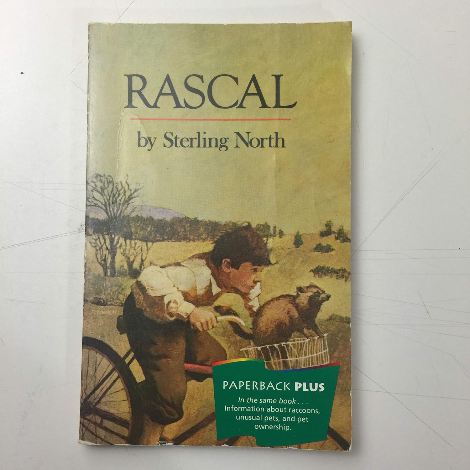 Rascal: North, Sterling: 9780395732533: Amazon.com: Books