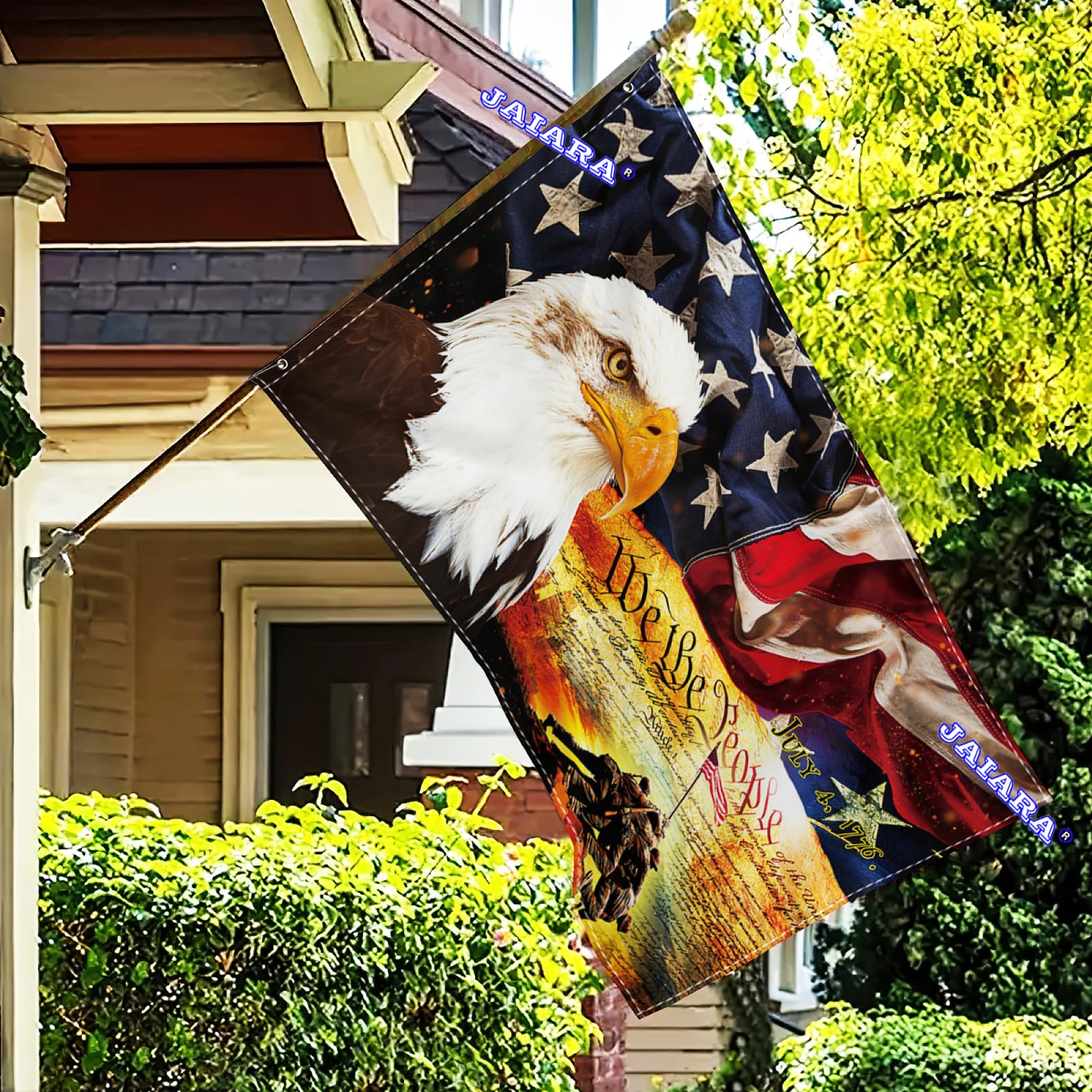 Bald Eagle America Flag With Constitution