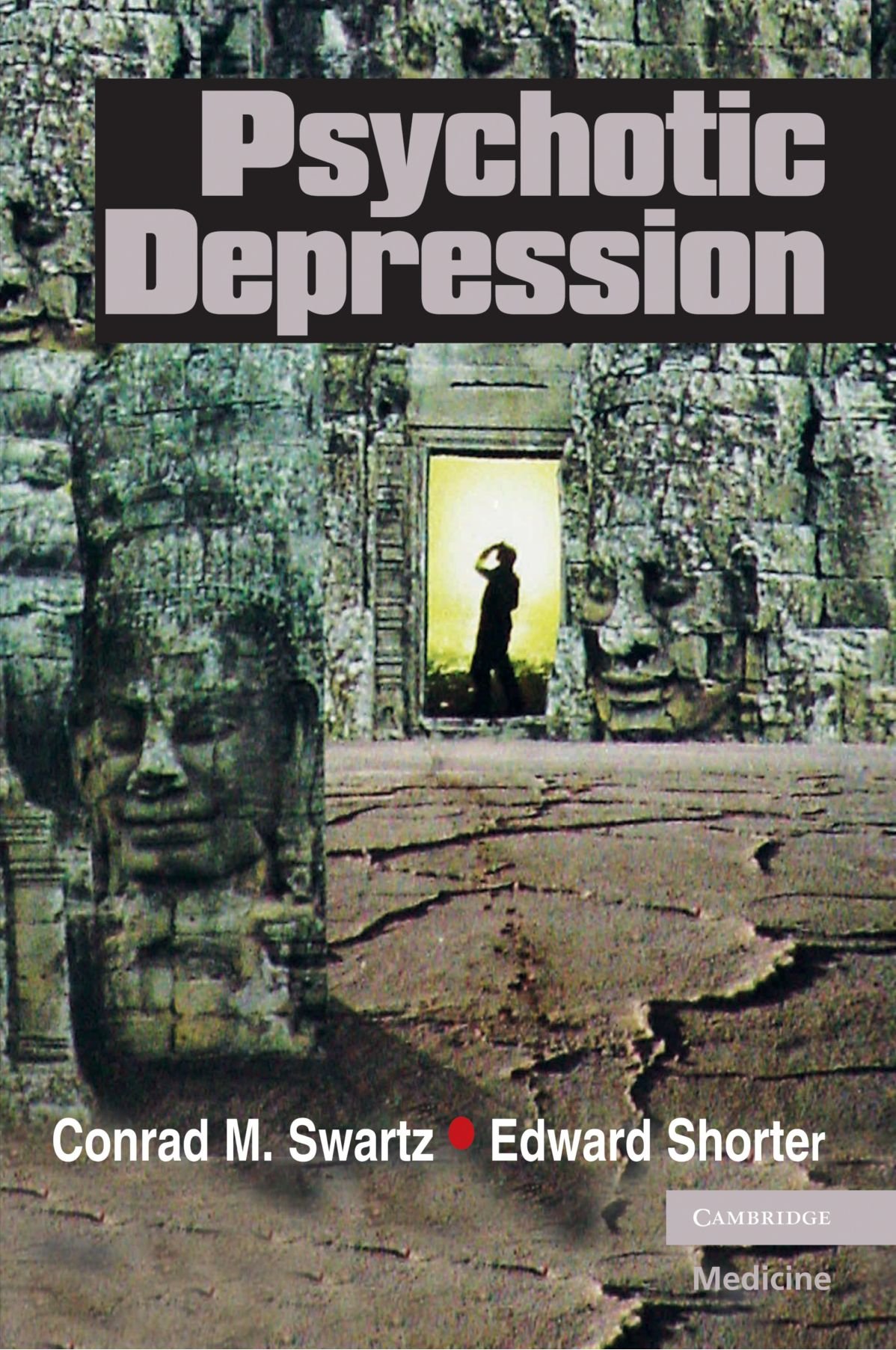 Psychotic Depression: 9781107406292: Medicine & Health Science Books ...