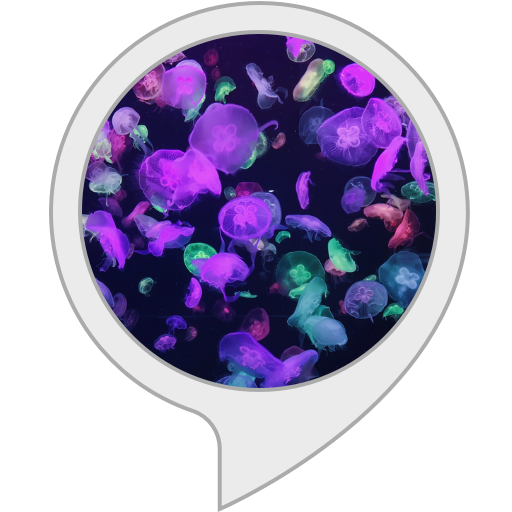 Amazon.co.uk: Living Ocean: 4K Video Screensavers : Alexa Skills