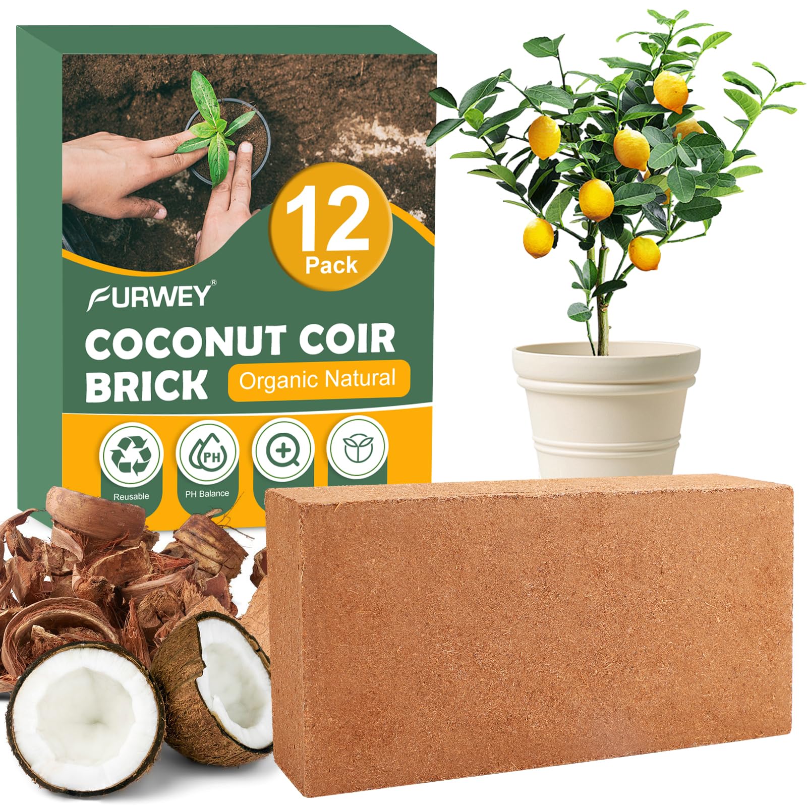 Amazon.com : FURWEY 12 Pack Compressed Coco Coir Bricks for Plants 100% ...