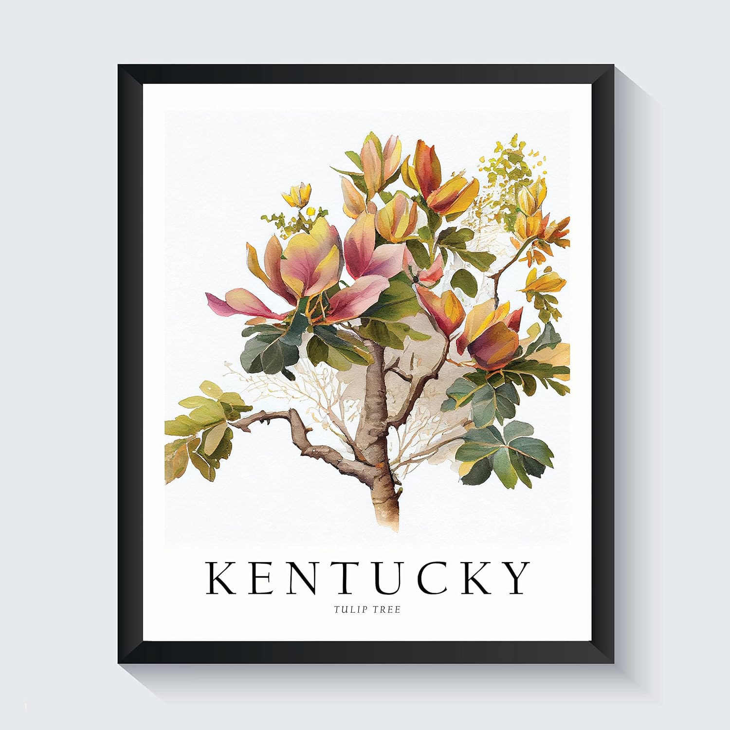 Amazon.com: Kentucky State Tree Art Print, Kentucky Poster Wall art ...