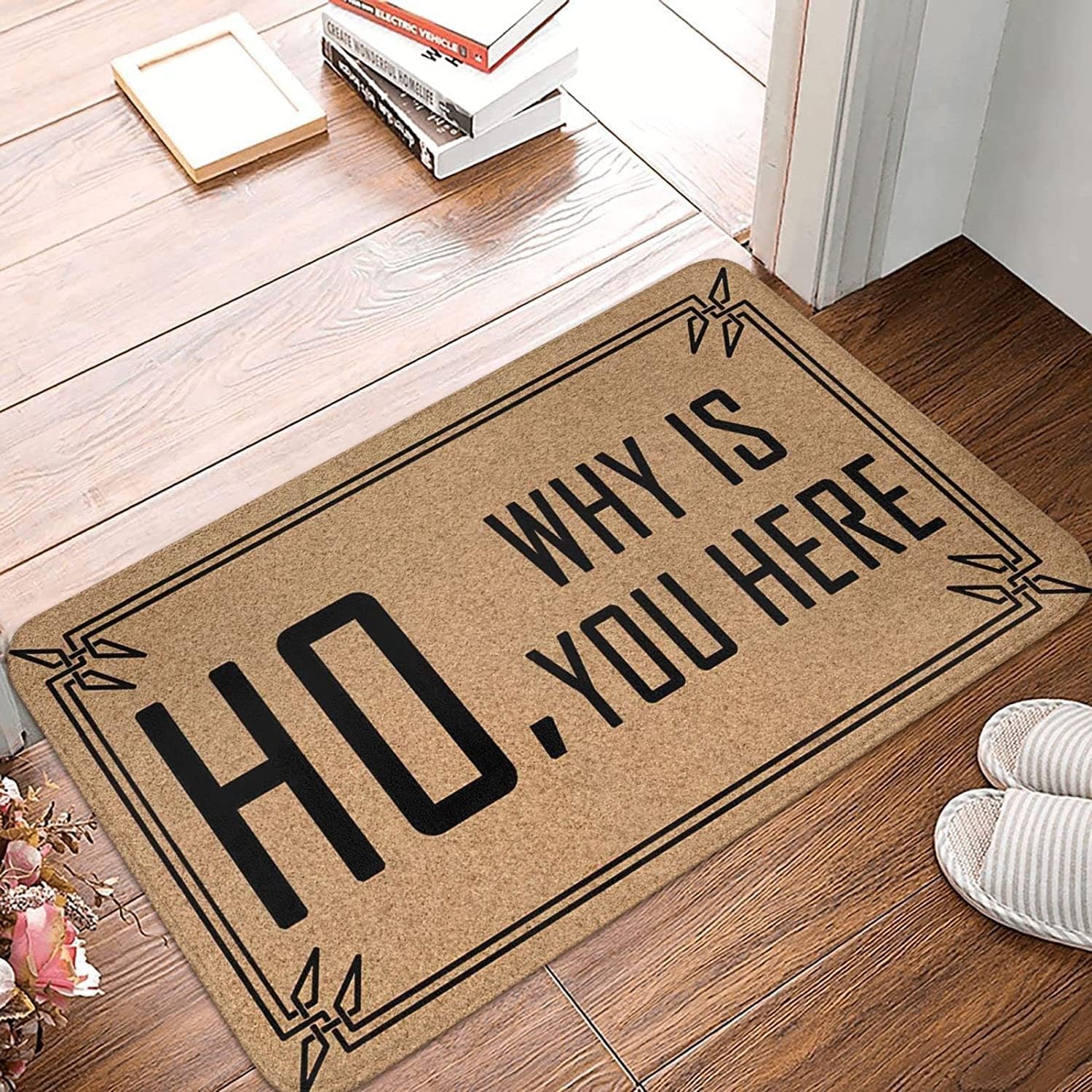 Amazon.com: Door Mat Insert Doormat Indoor for Entryway,Ho,Why is You ...