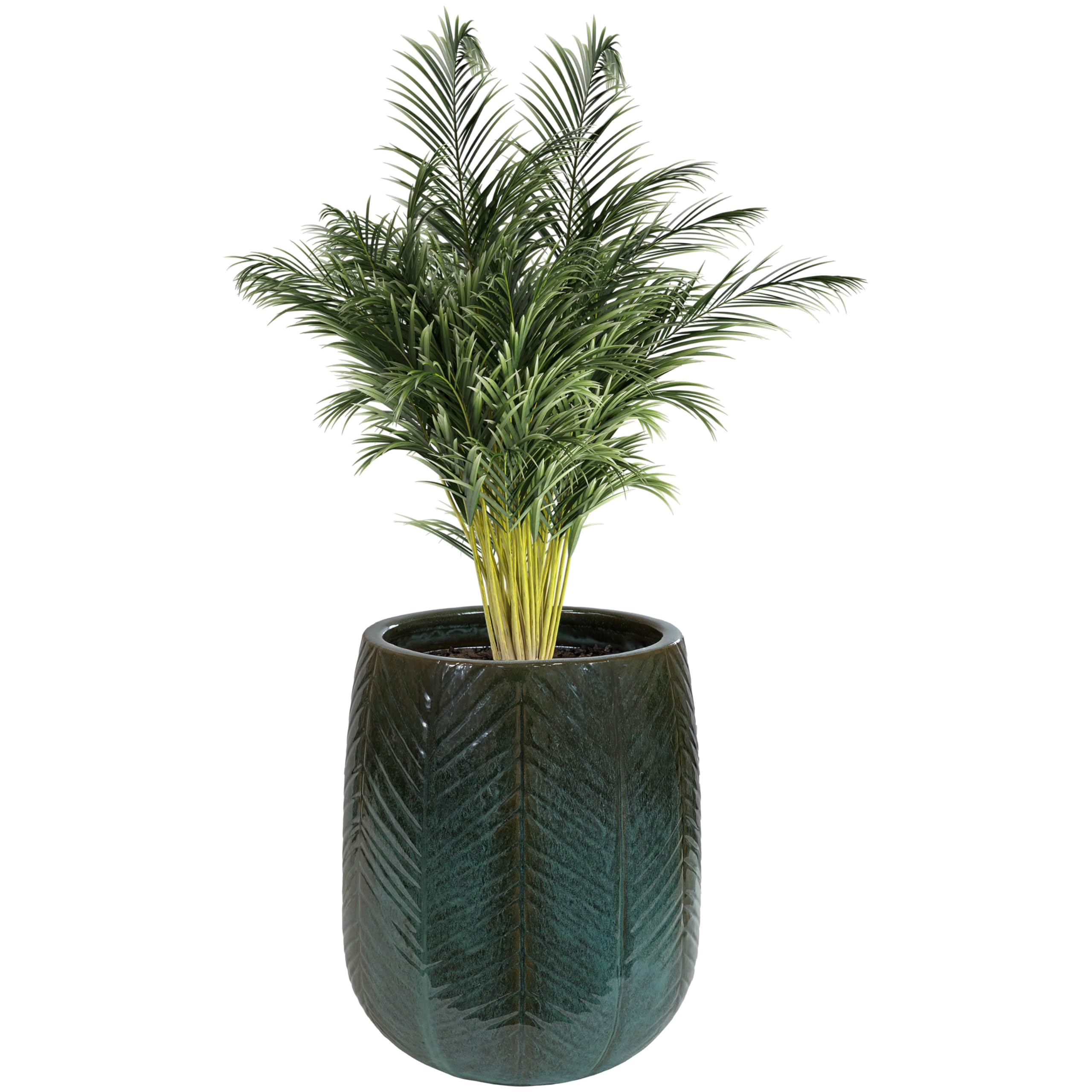 Amazon.com: Sunnydaze 10" Chevron Pattern Ceramic Plant Pot - Features ...
