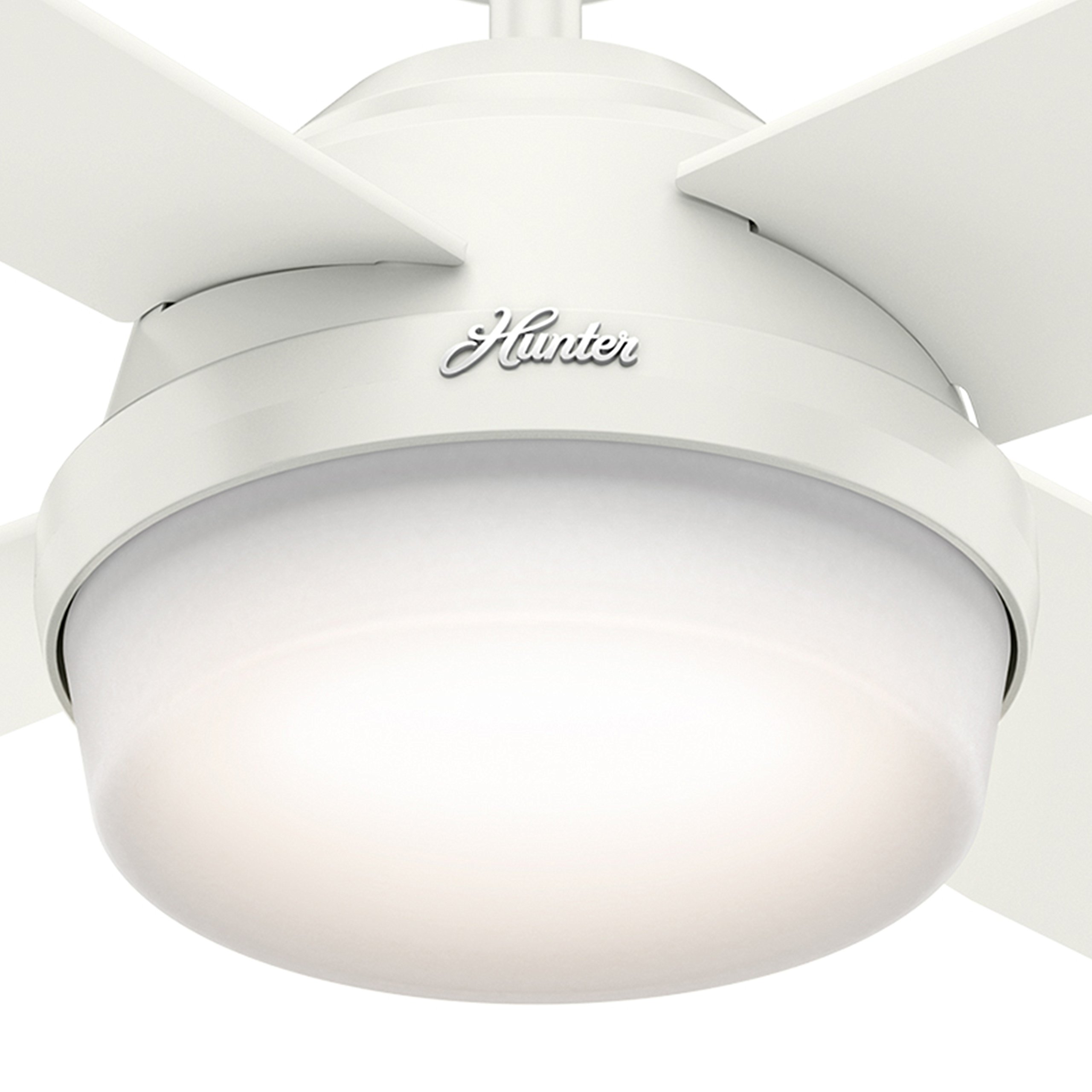 Snapklik.com : Hunter Fan 52 In Contemporary Ceiling Fan In Fresh White