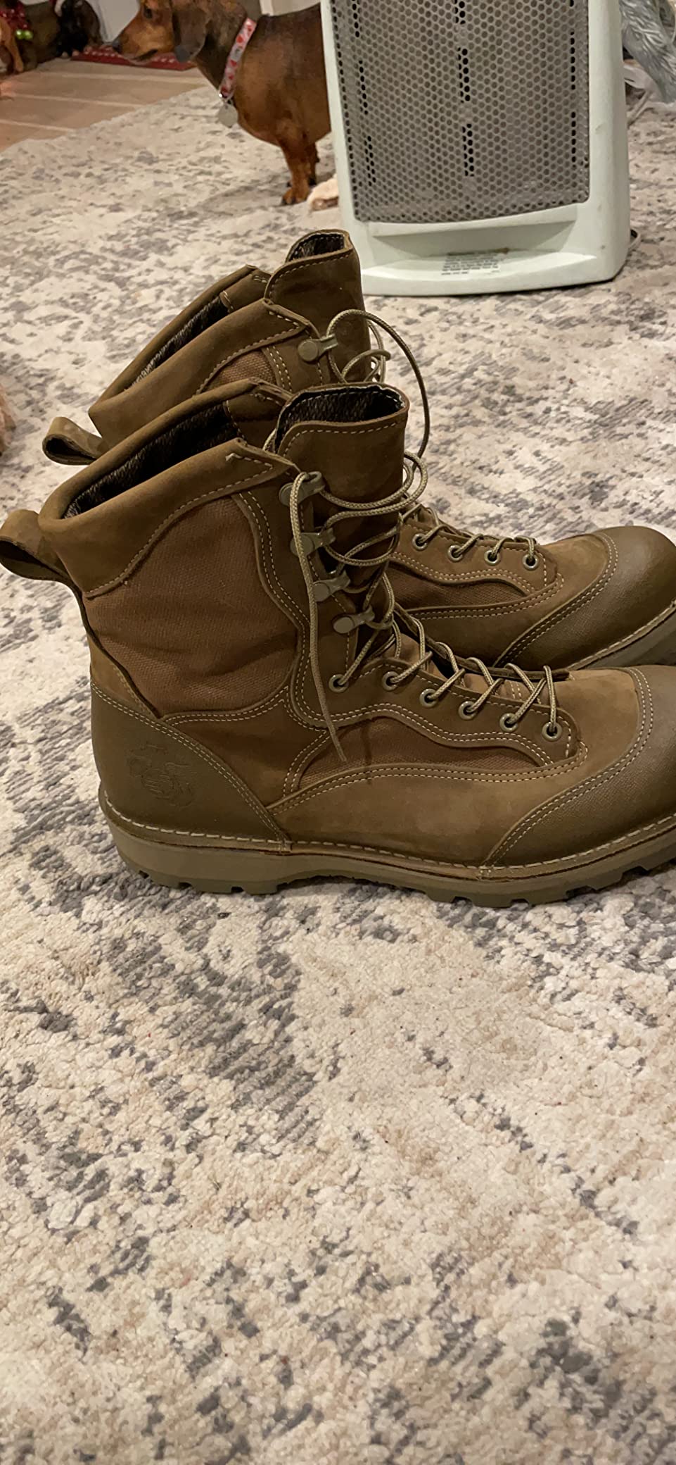 Amazon.com: Danner USMC Men's RAT Boot : Clothing, Shoes & Jewelry