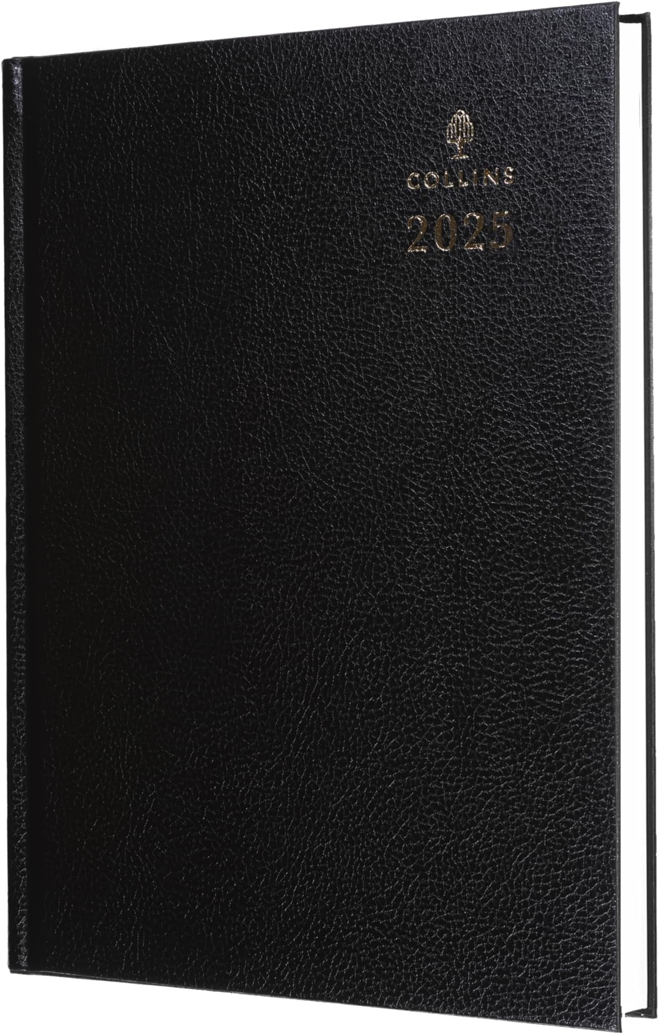 Collins Standard Desk 2025 Diary for Professionals - A5 Week to View ...