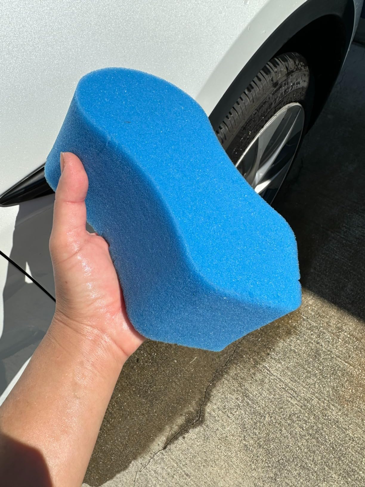 Amazon.com: Sudz Budz® Premium Grid Car Wash Sponge 2pc Jumbo/Small ...