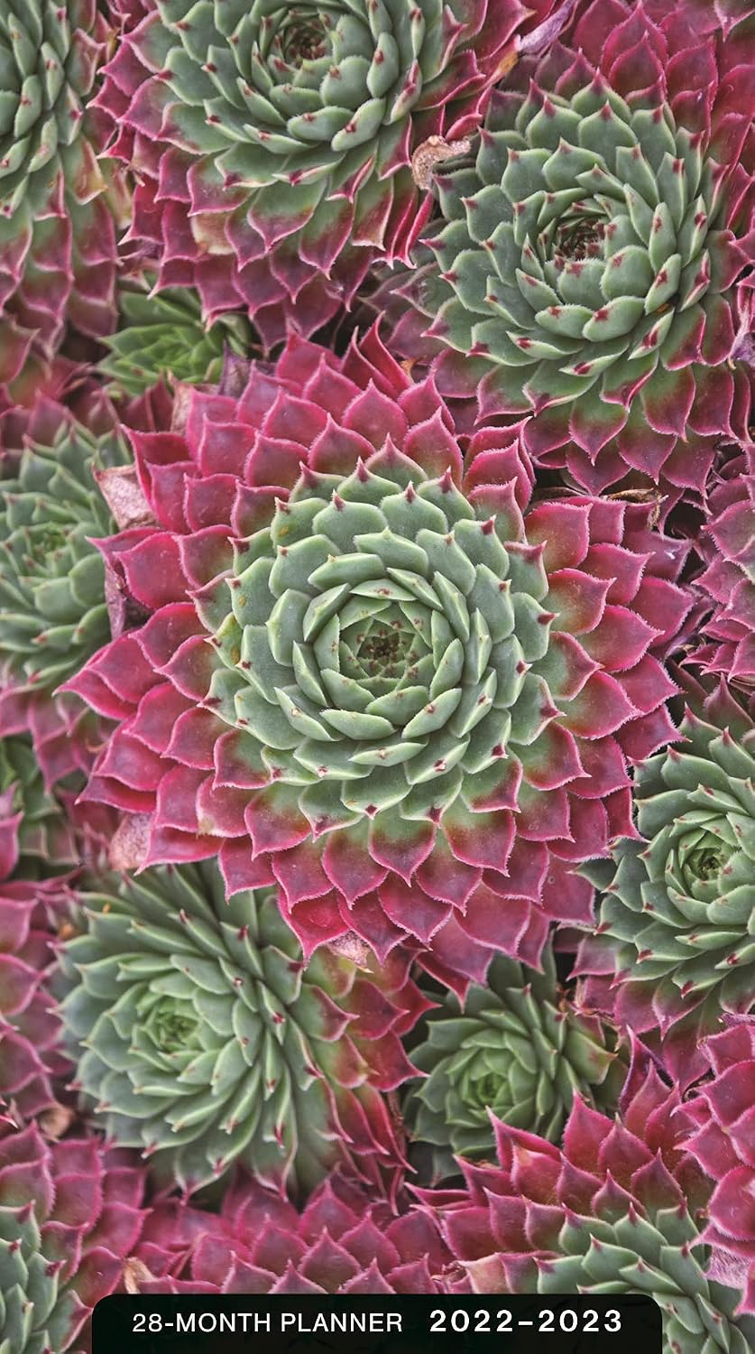 Succulents 2022 – 2023 28 Month Planner: 2 Year Pocket Planner ...