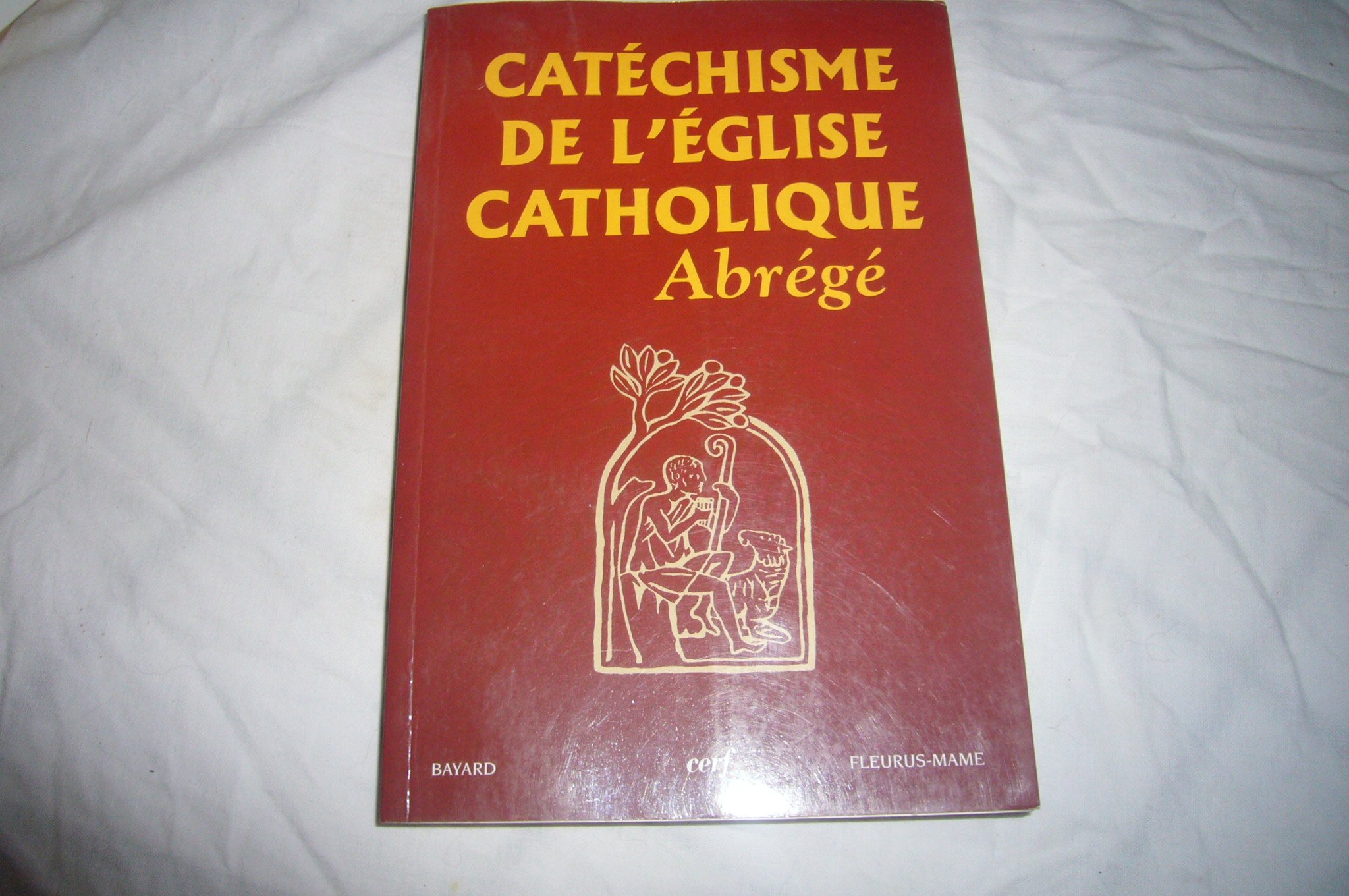 Amazon.fr - Catéchisme de l'Église Catholique abrégé - Benoît XVI - Livres