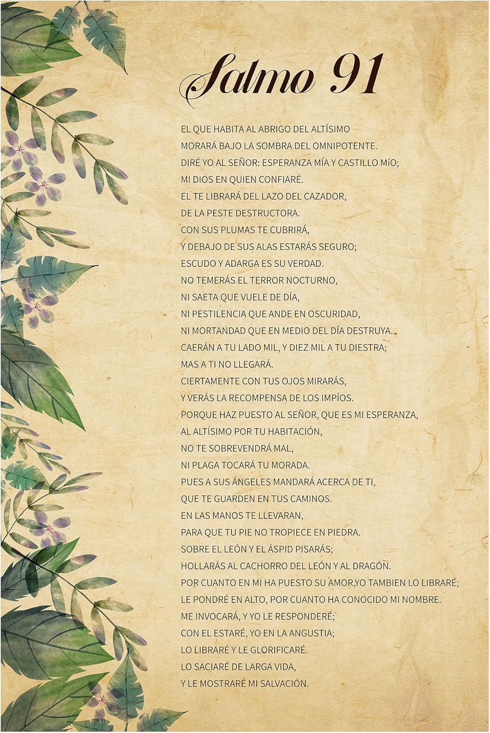 Amazon.com: Salmo 91 En Español Para Pared Poster Biblia Española Verso ...