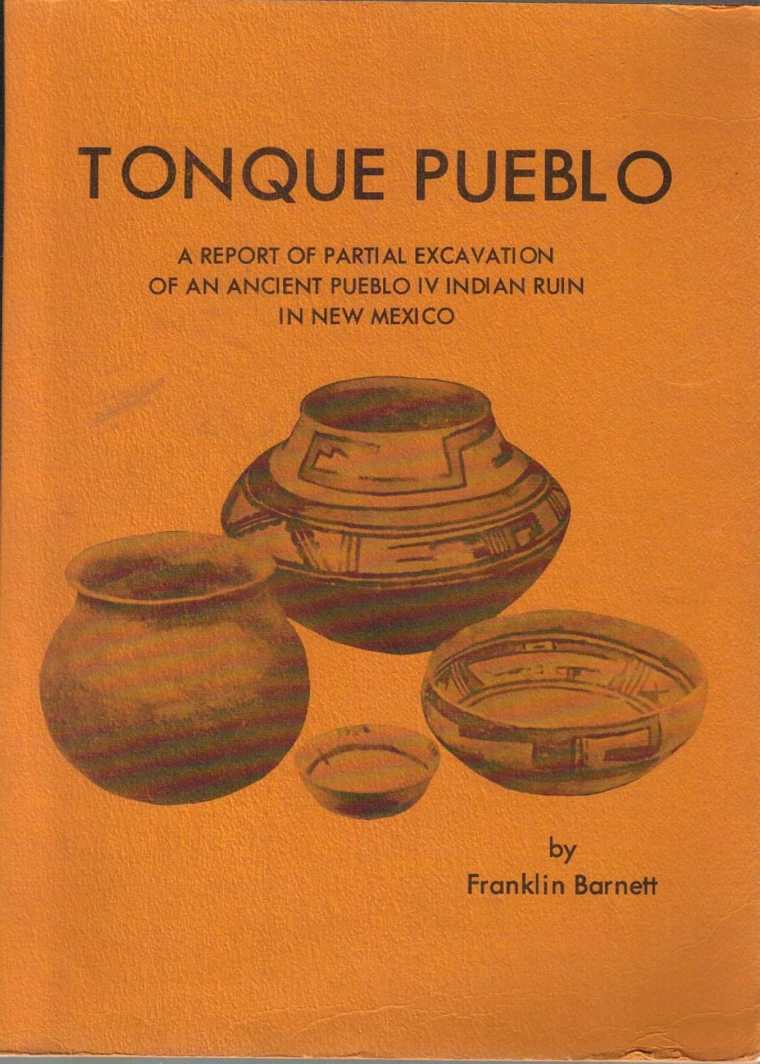 Tonque Pueblo: a Report of Partial Excavation of an Ancient Pueblo IV ...