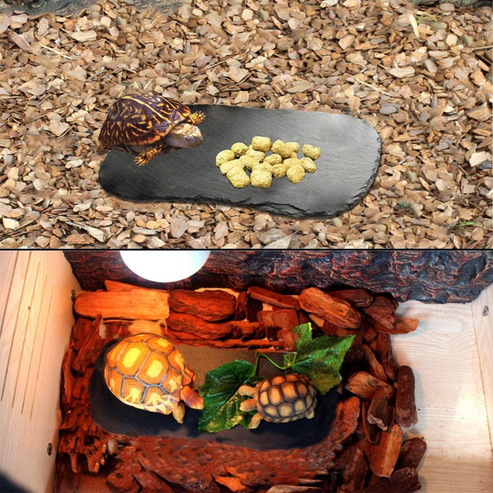 Snapklik.com : Reptile Basking Platform Turtle Rock Plate Feeding Food ...