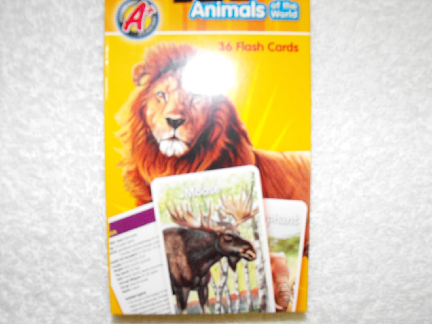 Amazon.com: A+ Animals of the world 36 full color flash cards : Toys ...