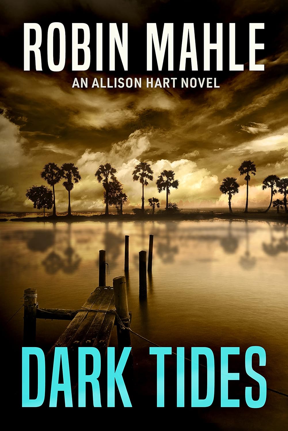 Dark Tides (An Allison Hart Novel Book 5) - Kindle edition by Mahle ...