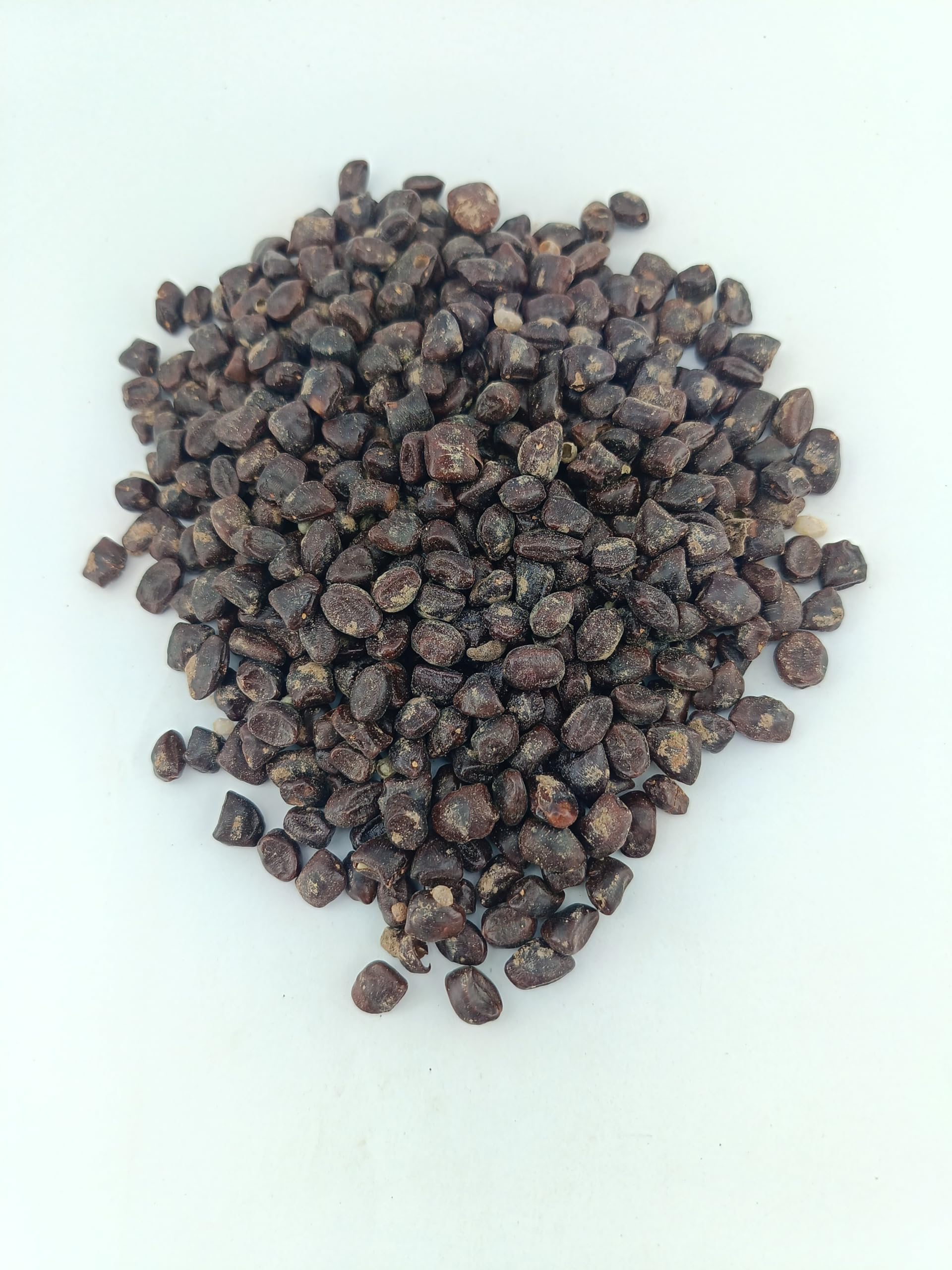 advancedestore Imli Chota - Emli Seeds Small - Tamarind Seeds -Pack of ...