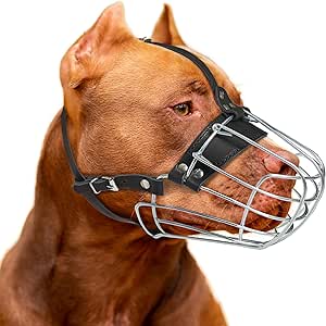 Amazon.co.jp: CleverTail Comfortable Large Pit Bull Muzzle - Dog Muzzle ...