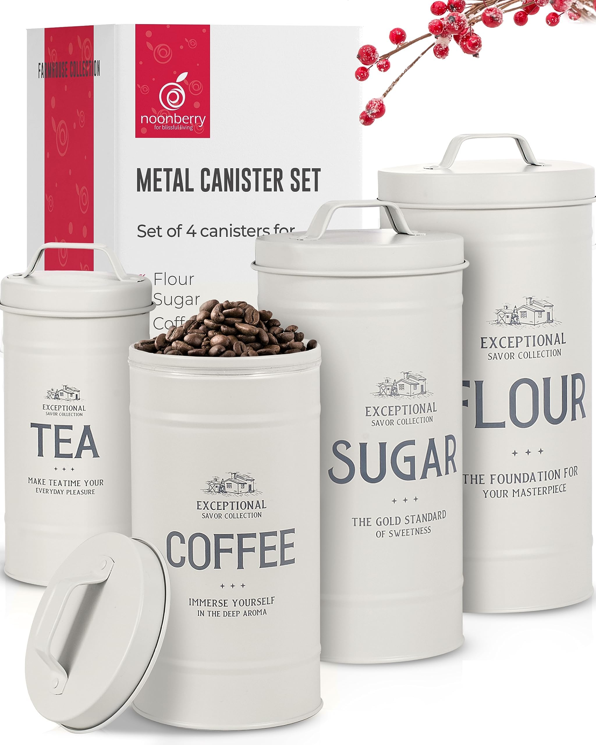 Amazon.com: noonberry Canisters for Kitchen Counter, Set of 4 ...