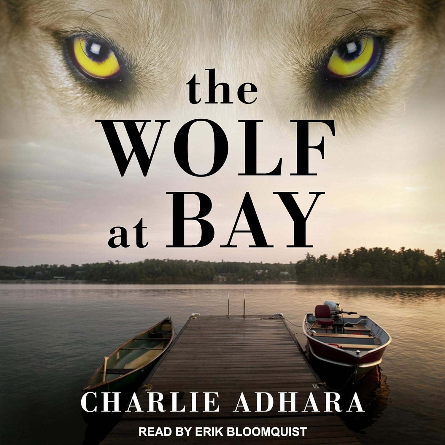Amazon.com: The Wolf at Bay: The Big Bad Wolf, Book 2 (Audible Audio ...
