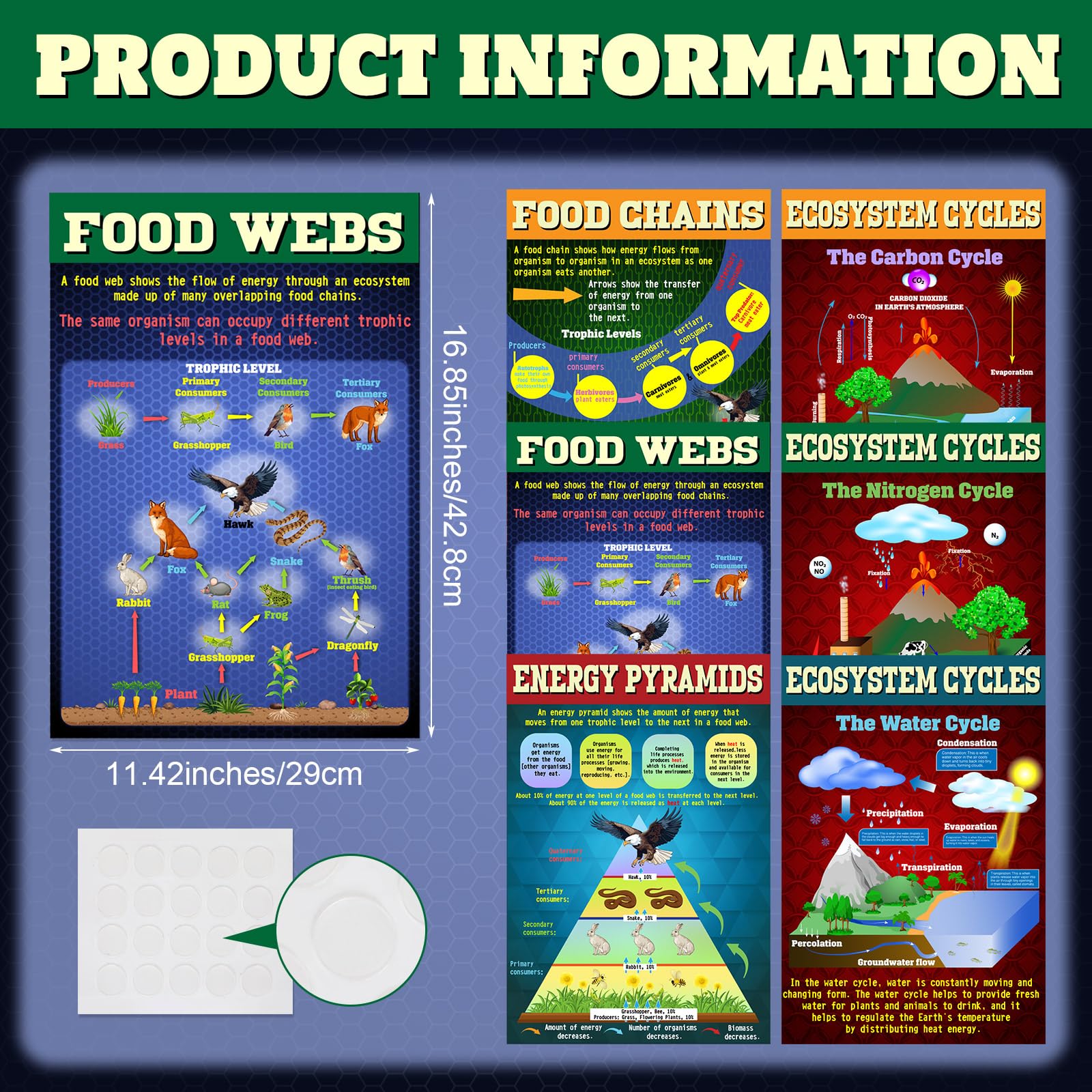 Snapklik.com : 6 Pcs Science Posters Ecosystems Teaching Posters Set ...