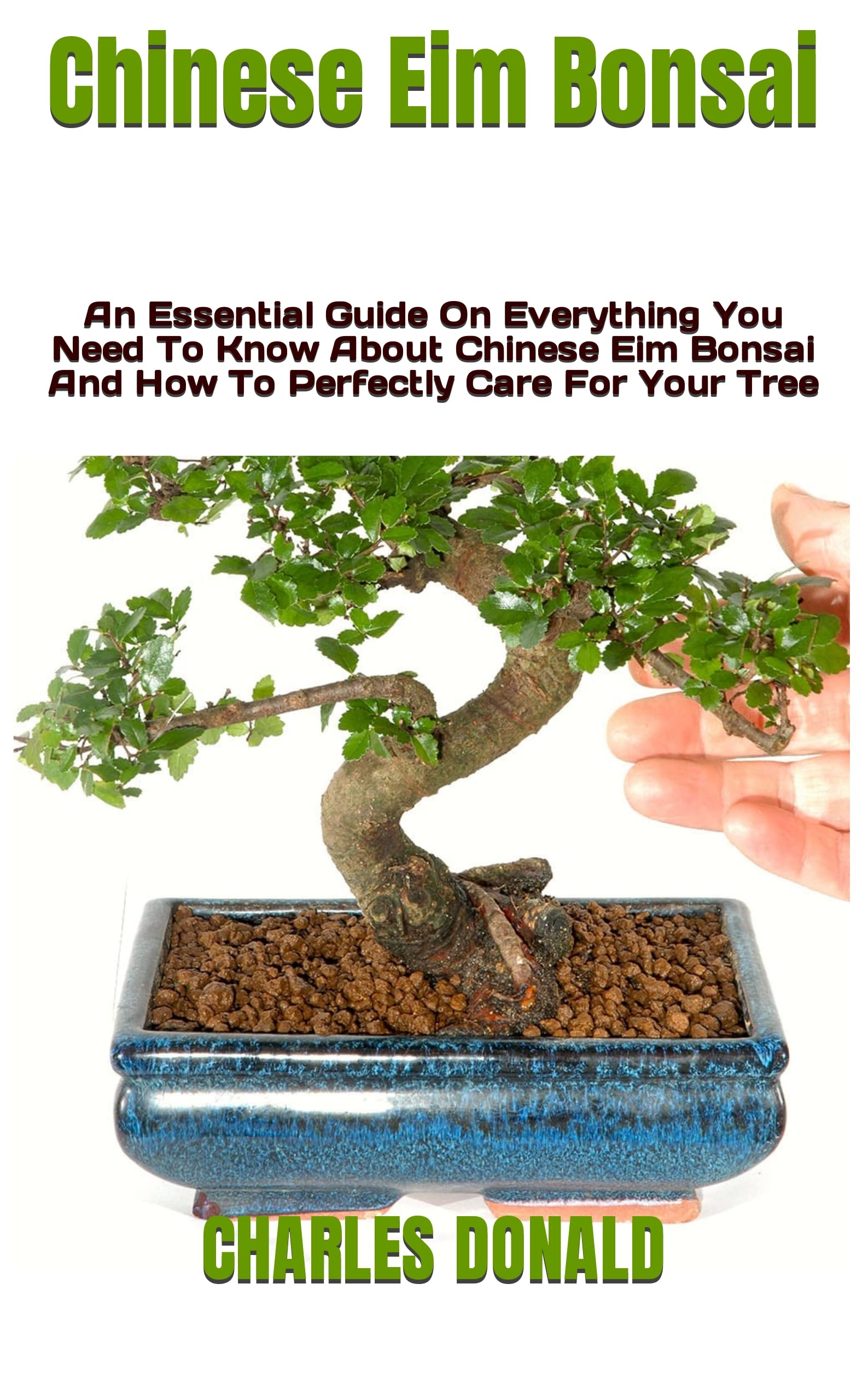 Buy Chinese Eim Bonsai : An Essential Guide On Everything You Need To ...