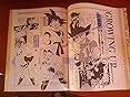 Amazon.com: Dragon Ball Daizenshu: Story Guide: 9784087827521: Books